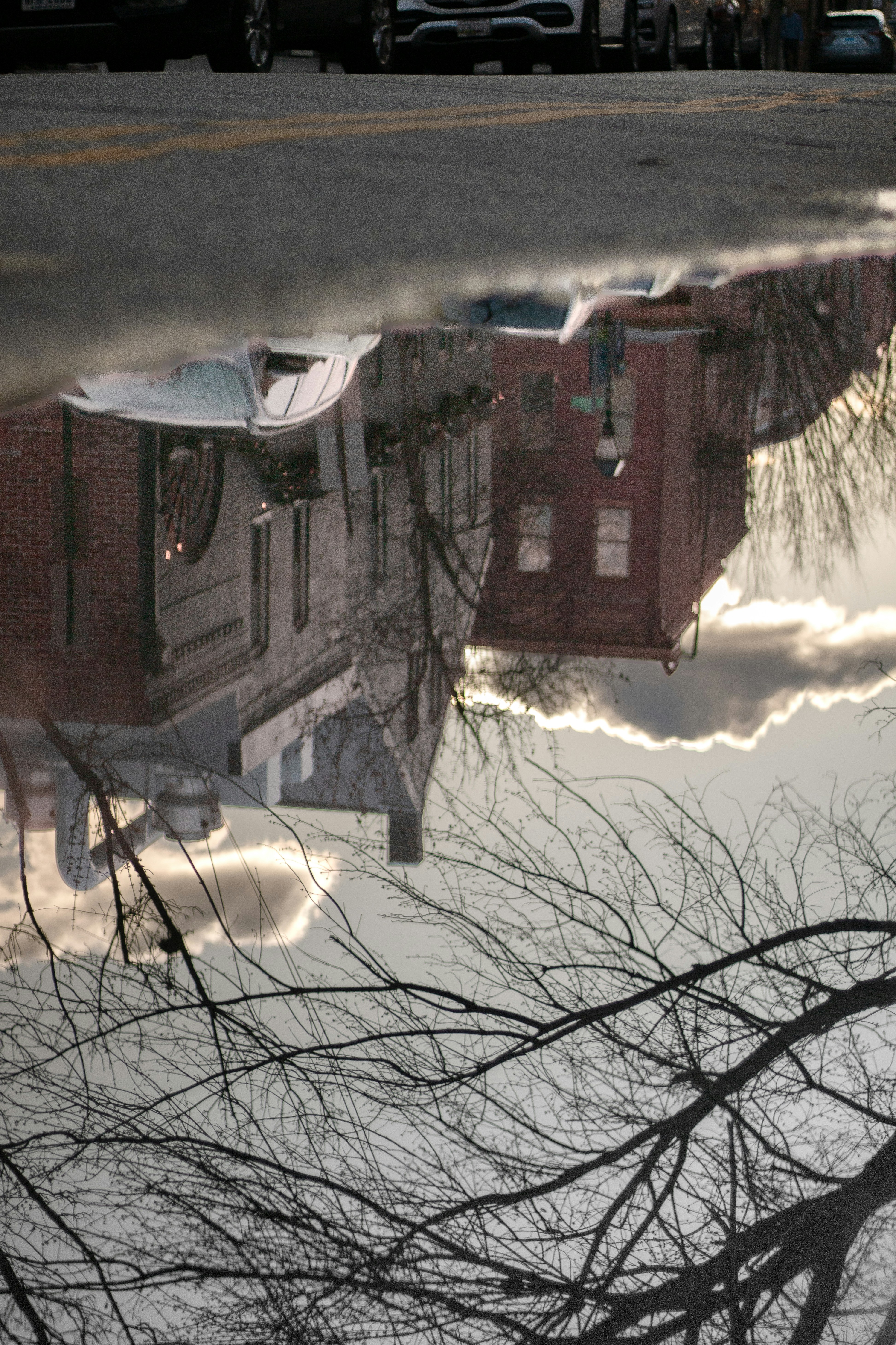 Urban Reflection: Puddle-Turned Portrait of Brick Facades and Bare Branches