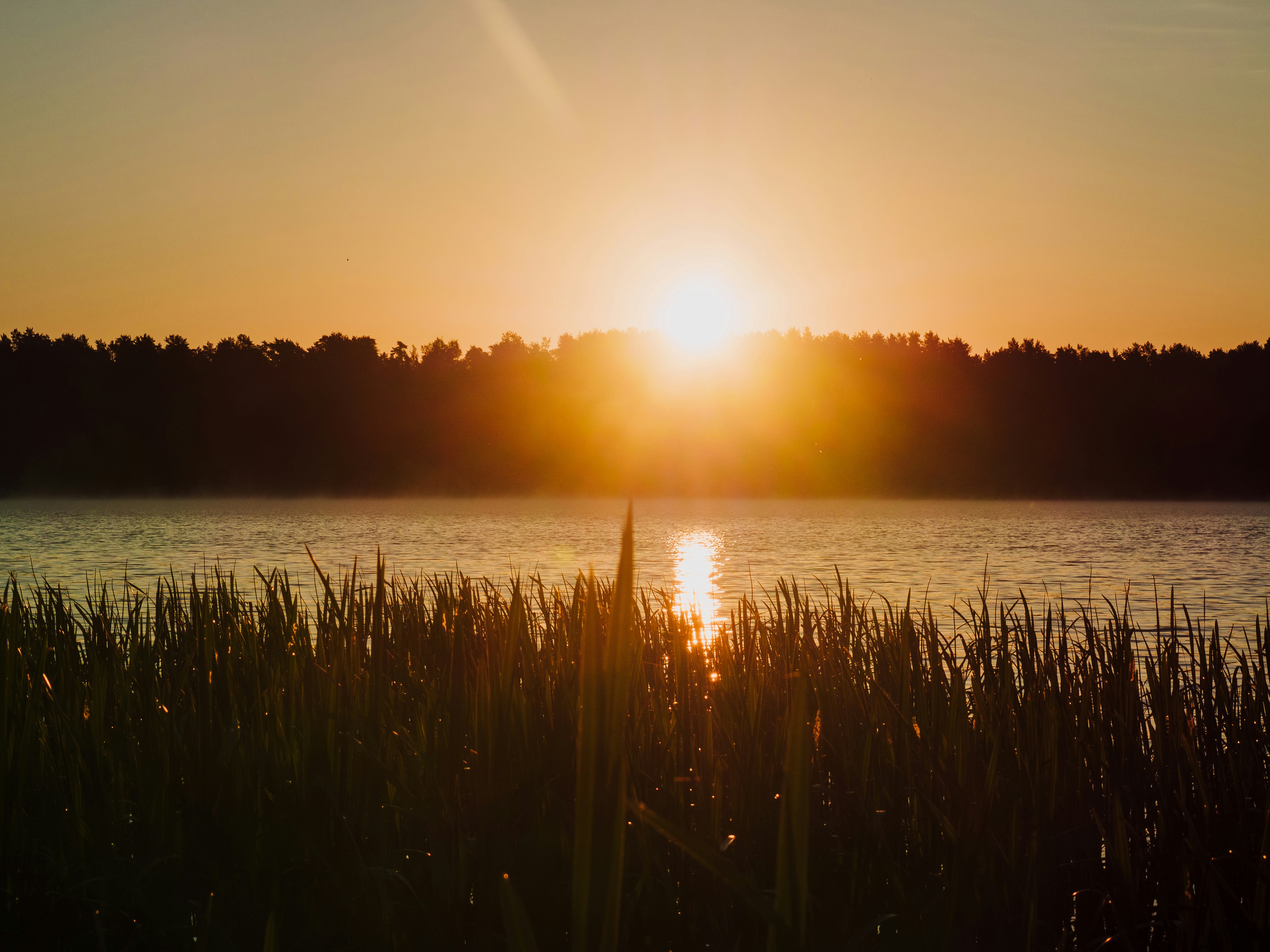 Sunset illuminating a tranquil lake, framed by tall grasses in the foreground. The warm glow creates a serene atmosphere.