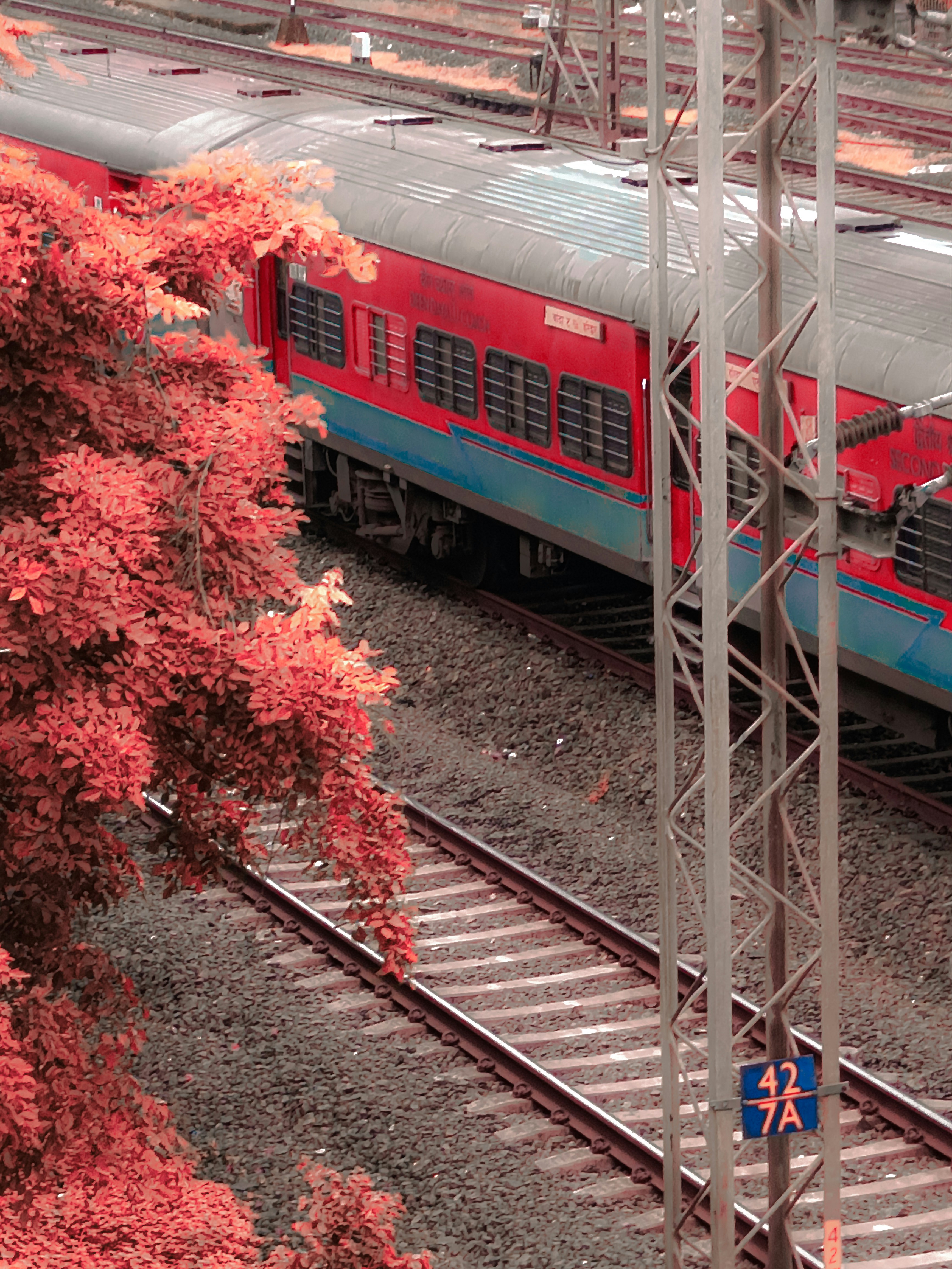 Crimson Railcar Amid Iron Lattices and Autumn Leaves