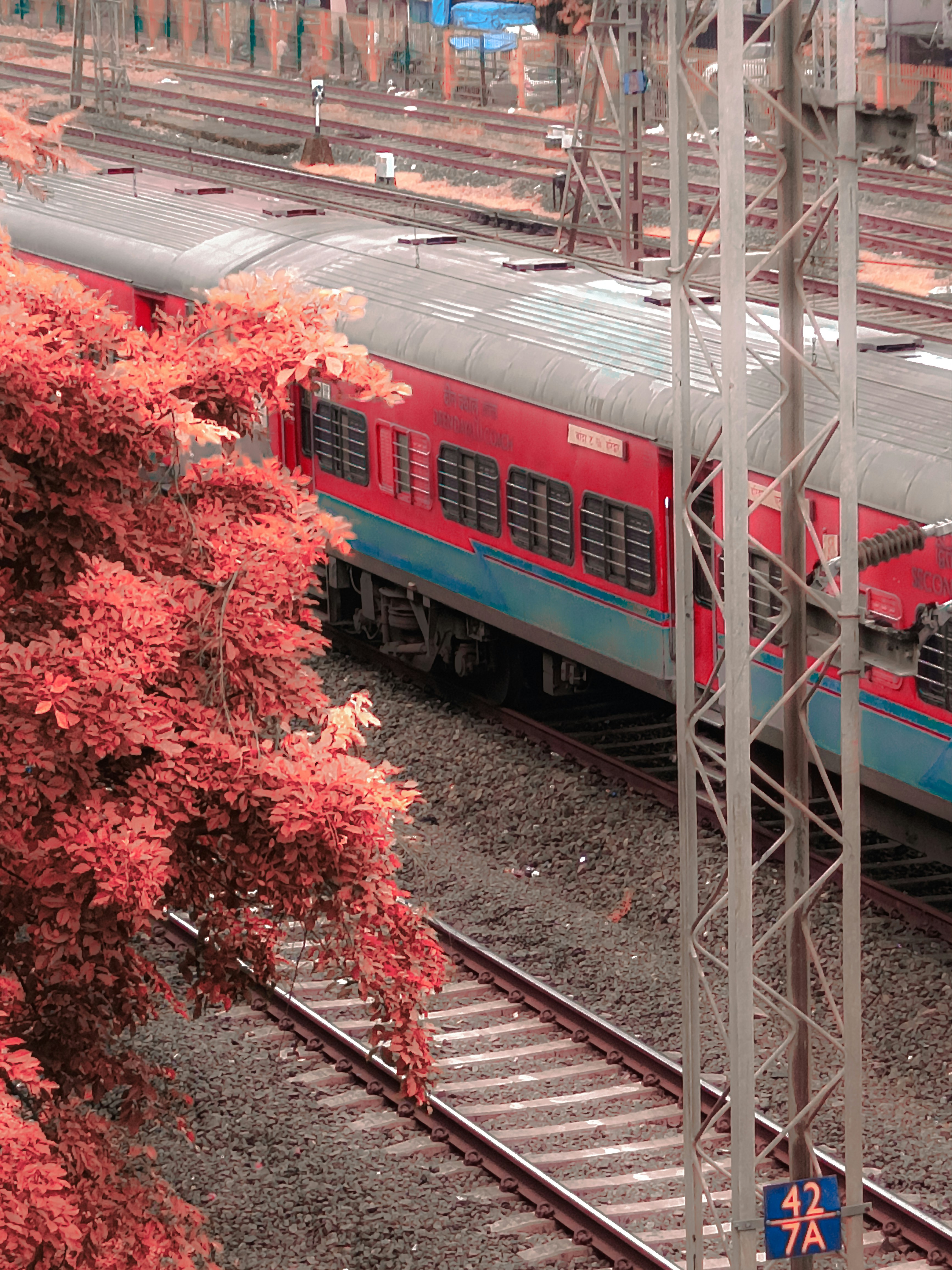 Crimson commuter train runs along parallel tracks, framed by pink-tinged foliage and metal scaffolding. Photograph highlights industrial color contrast and intricate rail infrastructure.