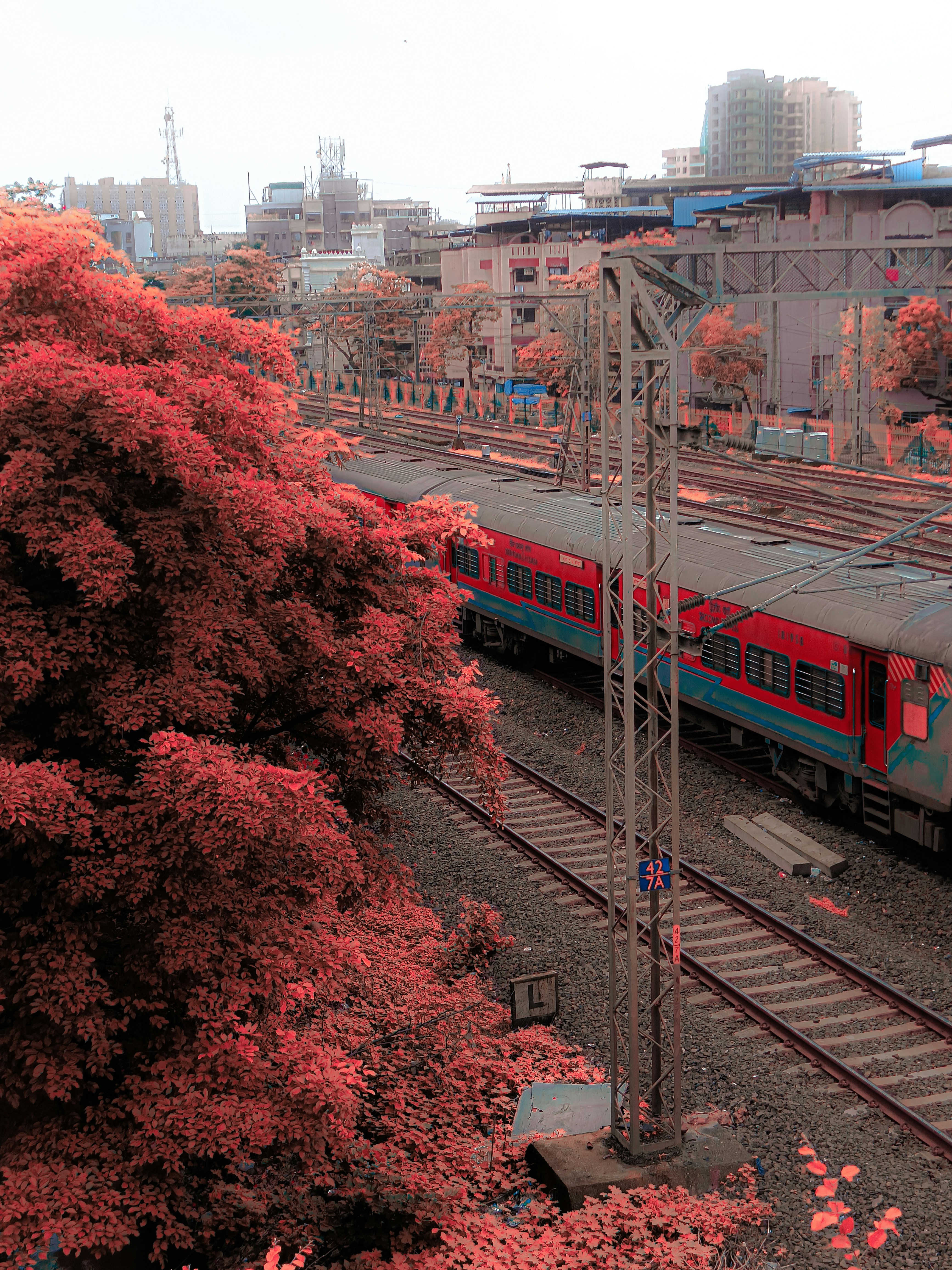 Photo by Ajay Kumar with Realme 11x