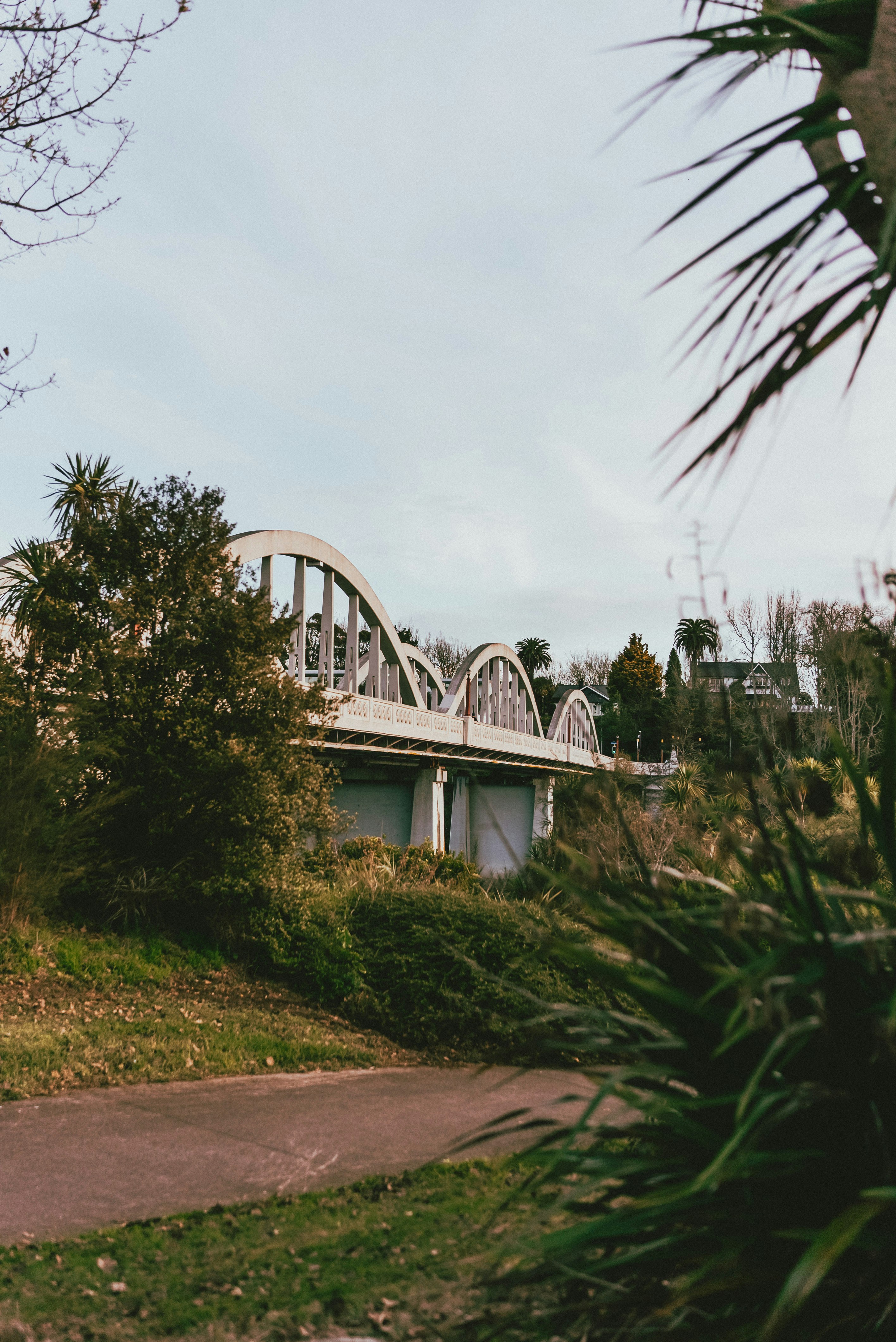 Arches in Bloom: A Quiet Riverside Bridge Framed by Palm and Pine