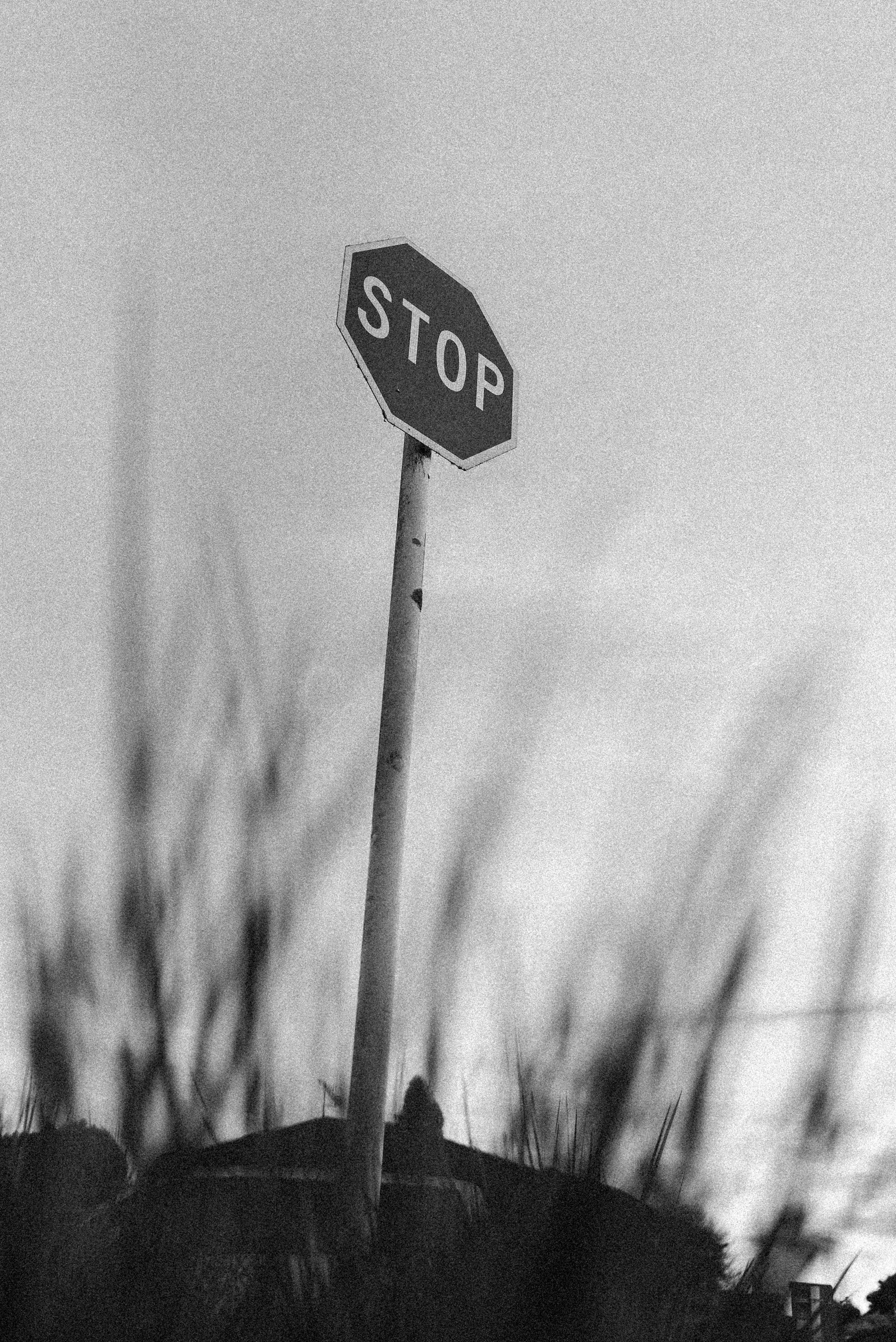 A black and white photo of a stop sign photo – Free Road sign Image on ...