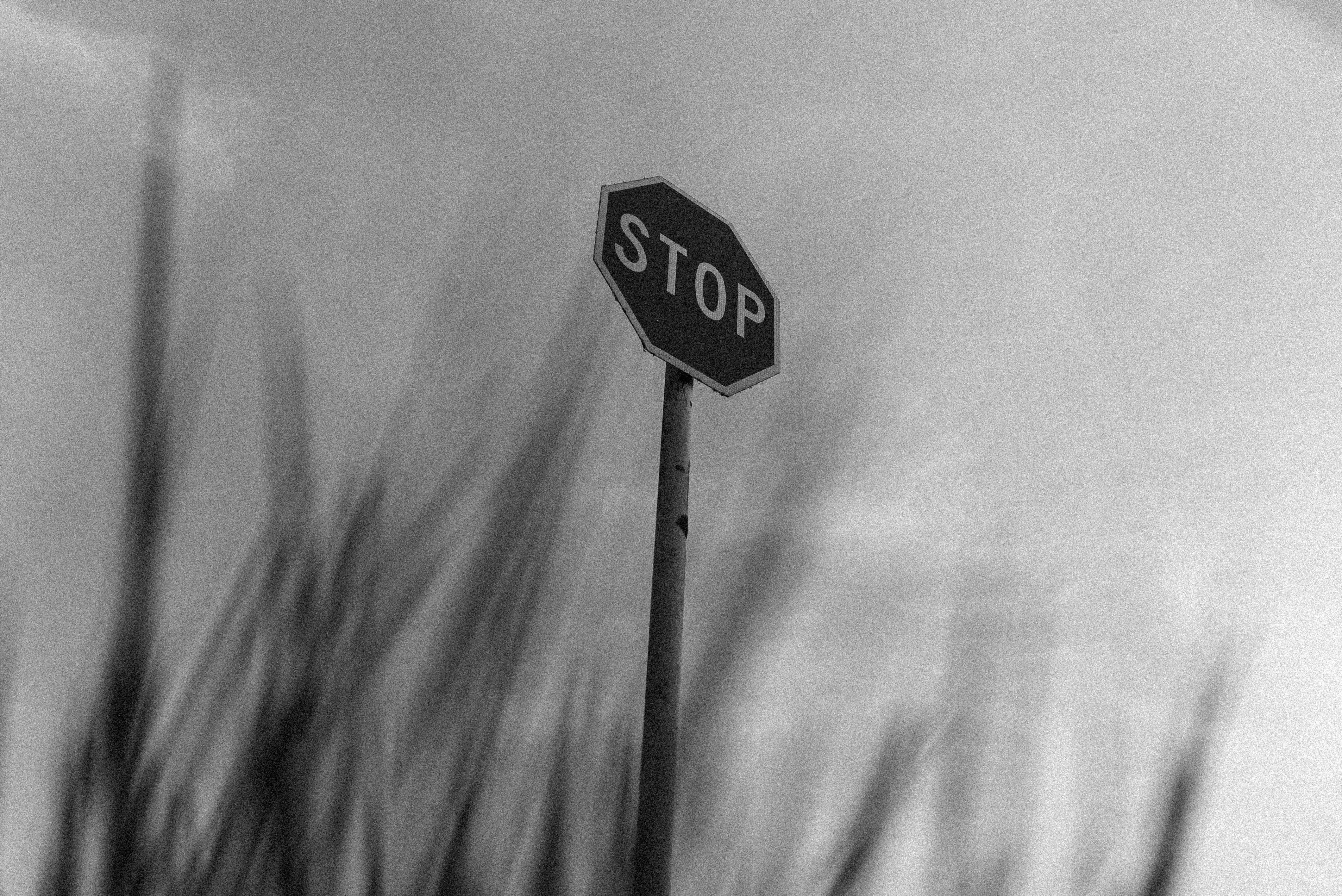 Una foto en blanco y negro de una señal de stop foto – Imagen de Señal ...