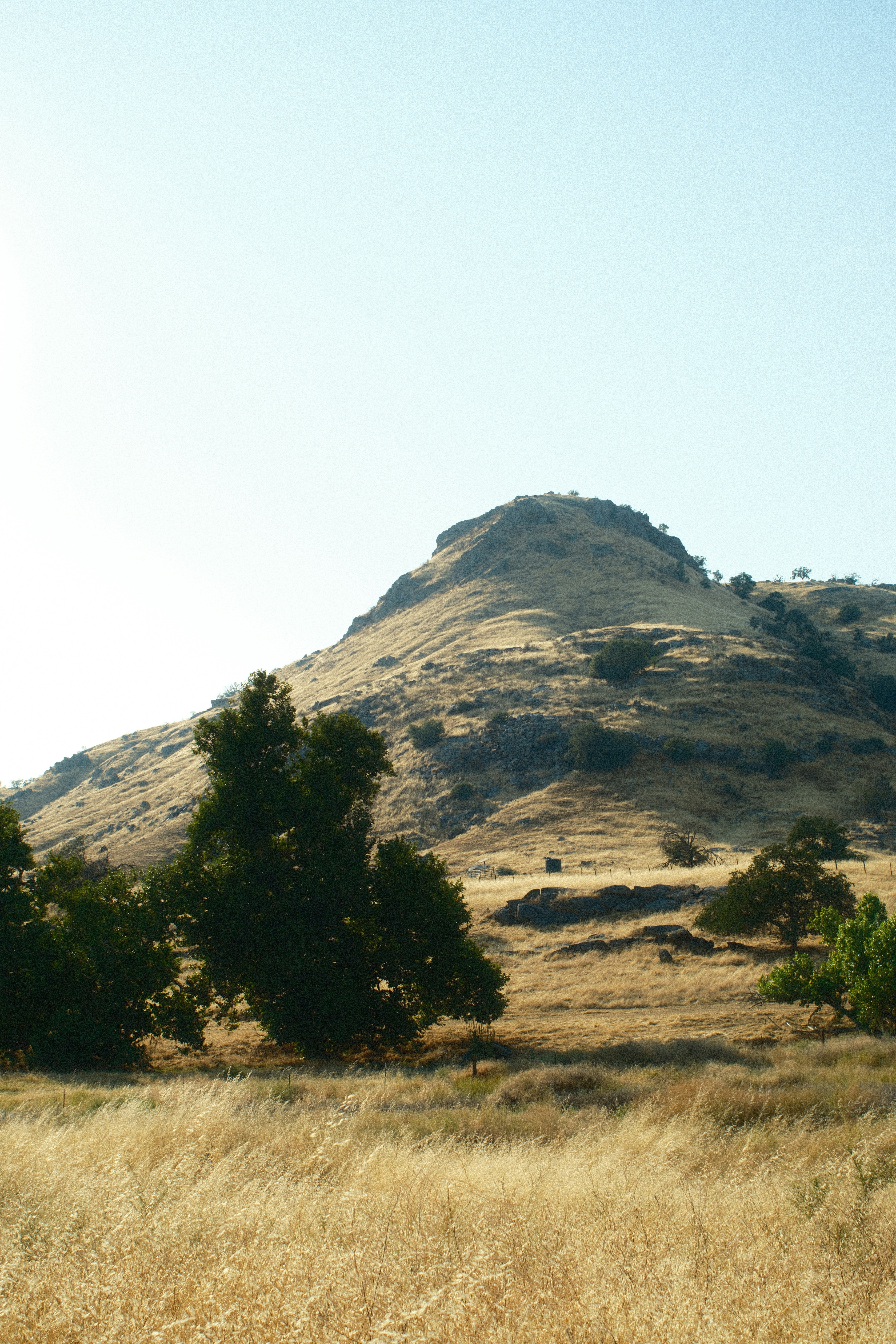 Photo by Jacob Padilla with Fujifilm X-T5