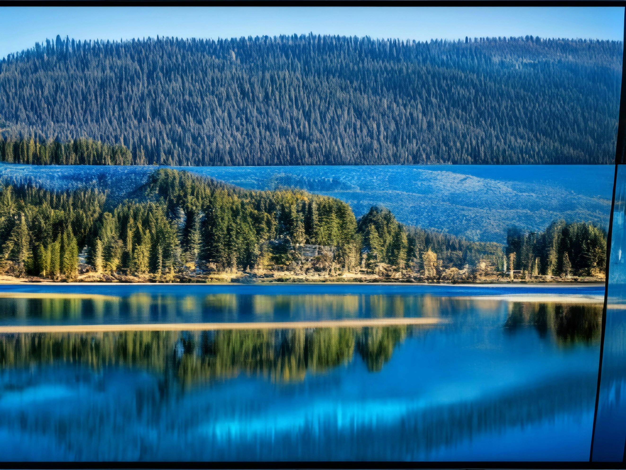 A picture of a lake surrounded by trees