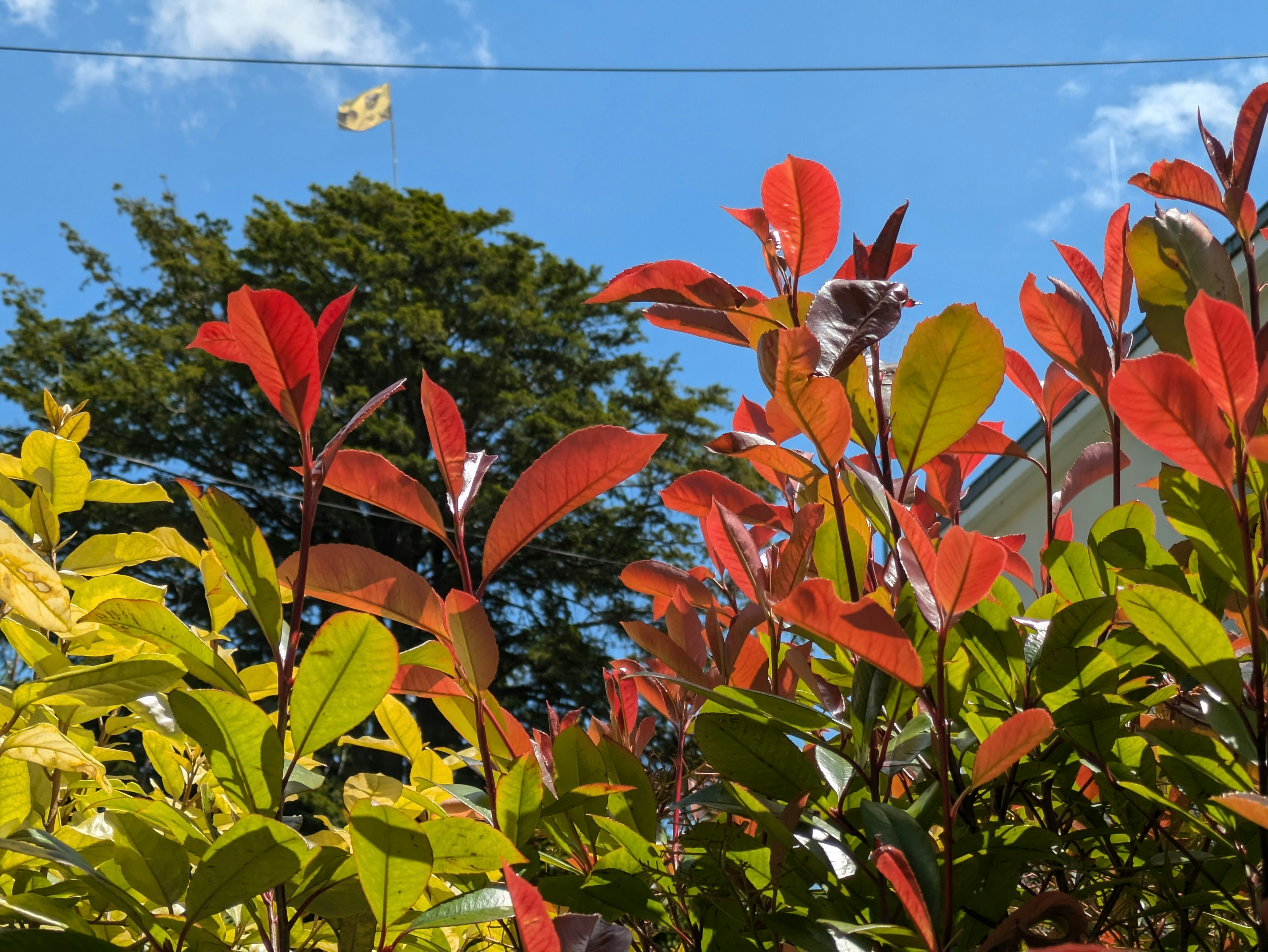 Photo by Philippe LOUAGE with Google Pixel 8a