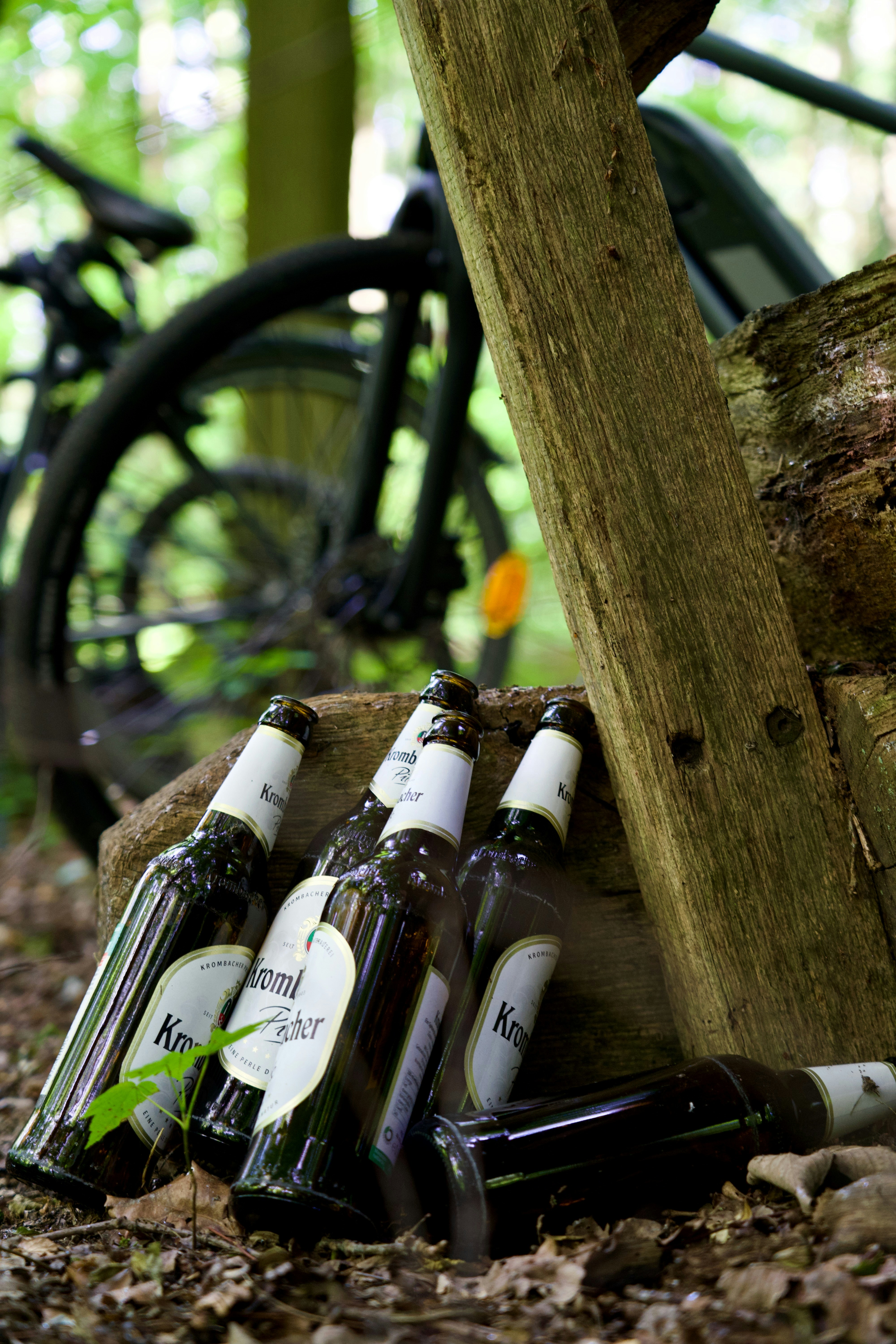 Photo by Ragib Huda with Sony Alpha 7C