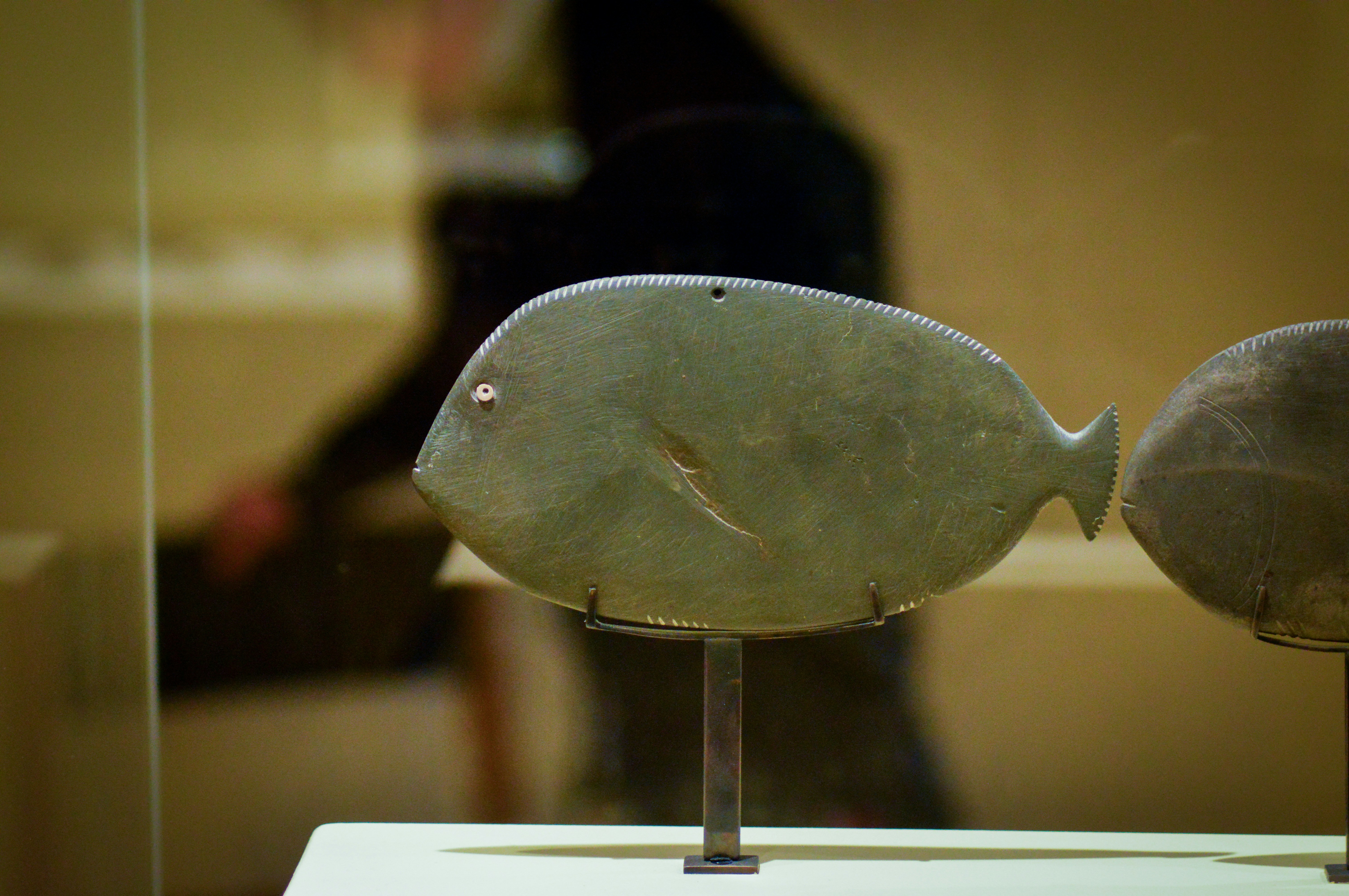 A couple of metal fish on display in a glass case photo – Free Fish ...