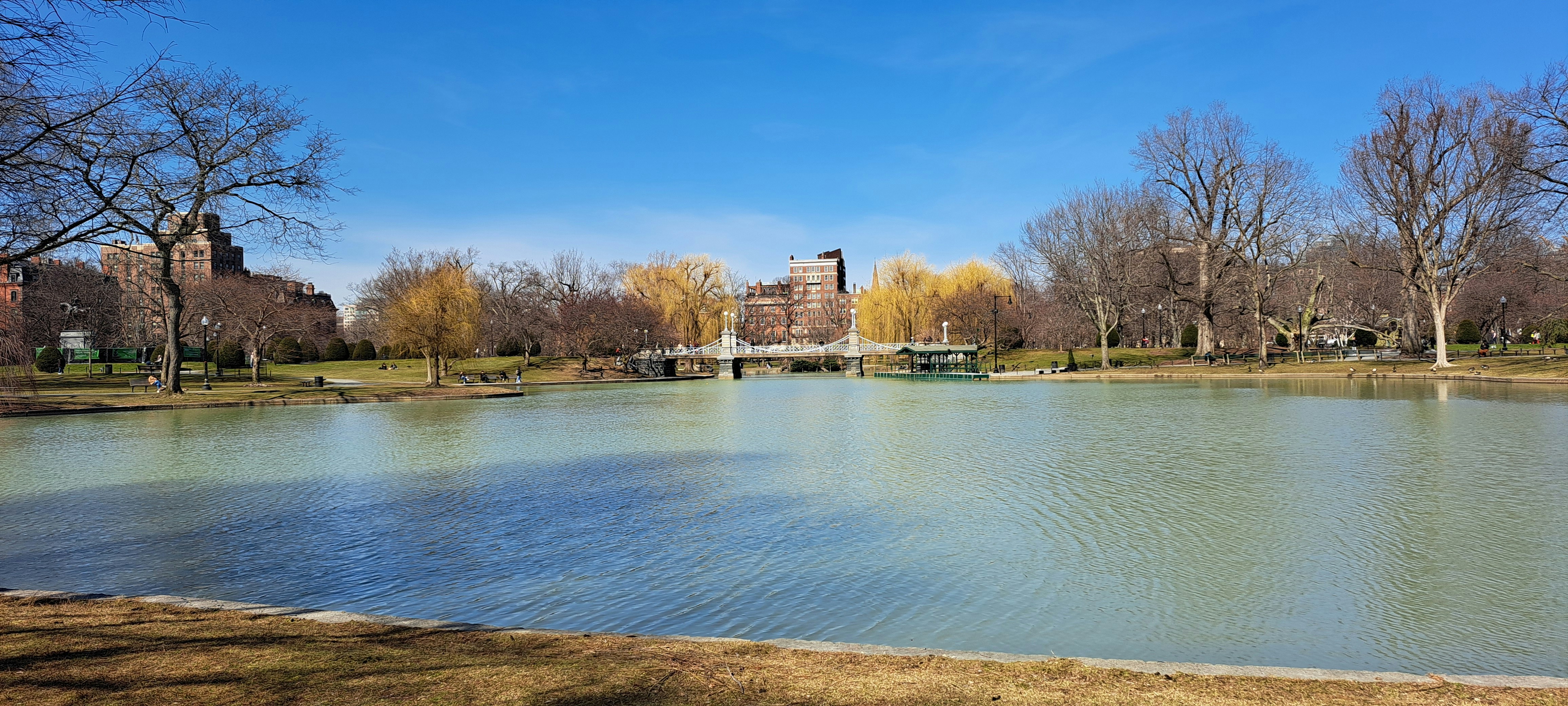 Photo by Arun Antony with Samsung Galaxy A53