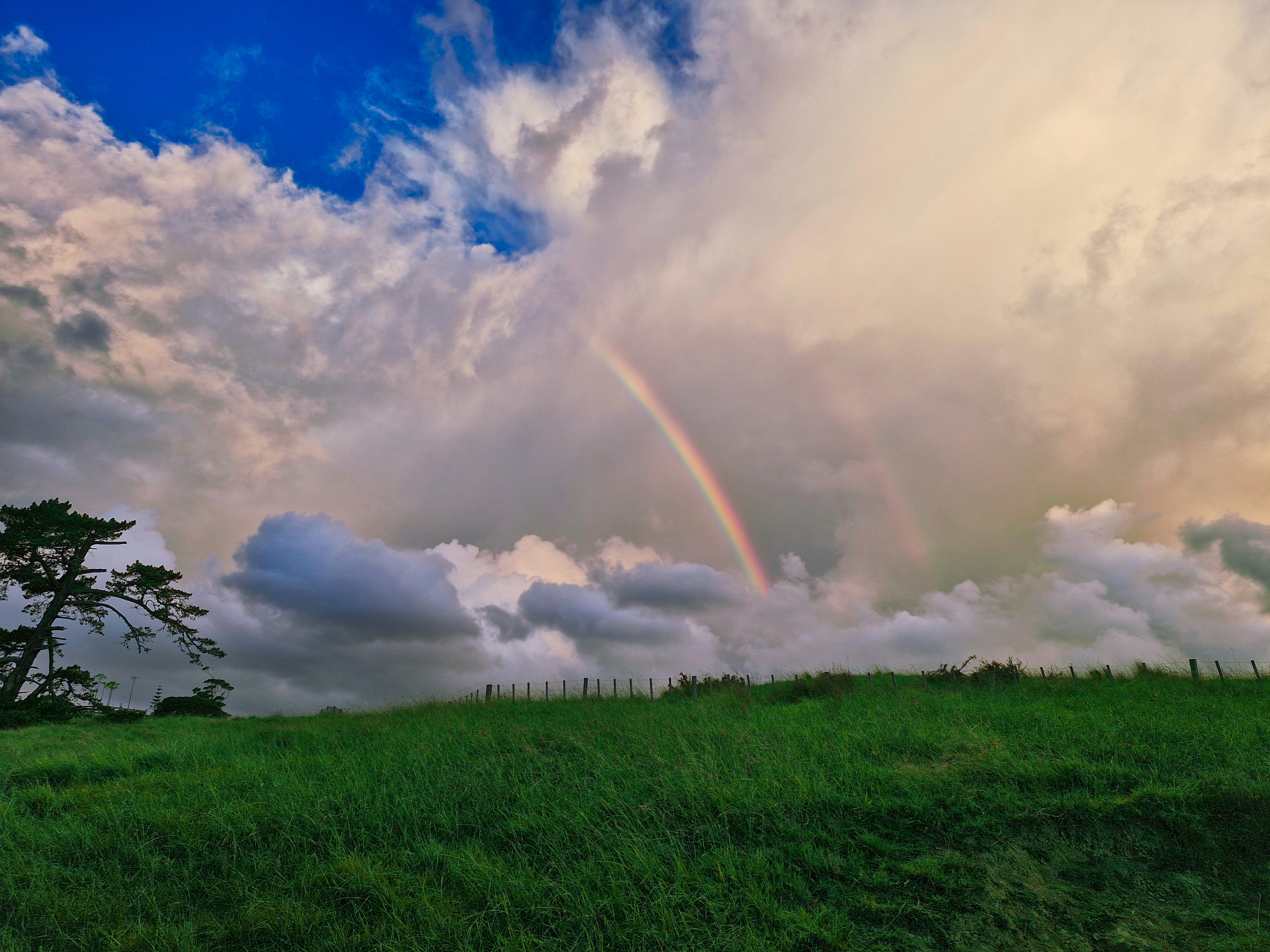 A rainbow in a cloudy sky over a green field photo – Free Auckland ...