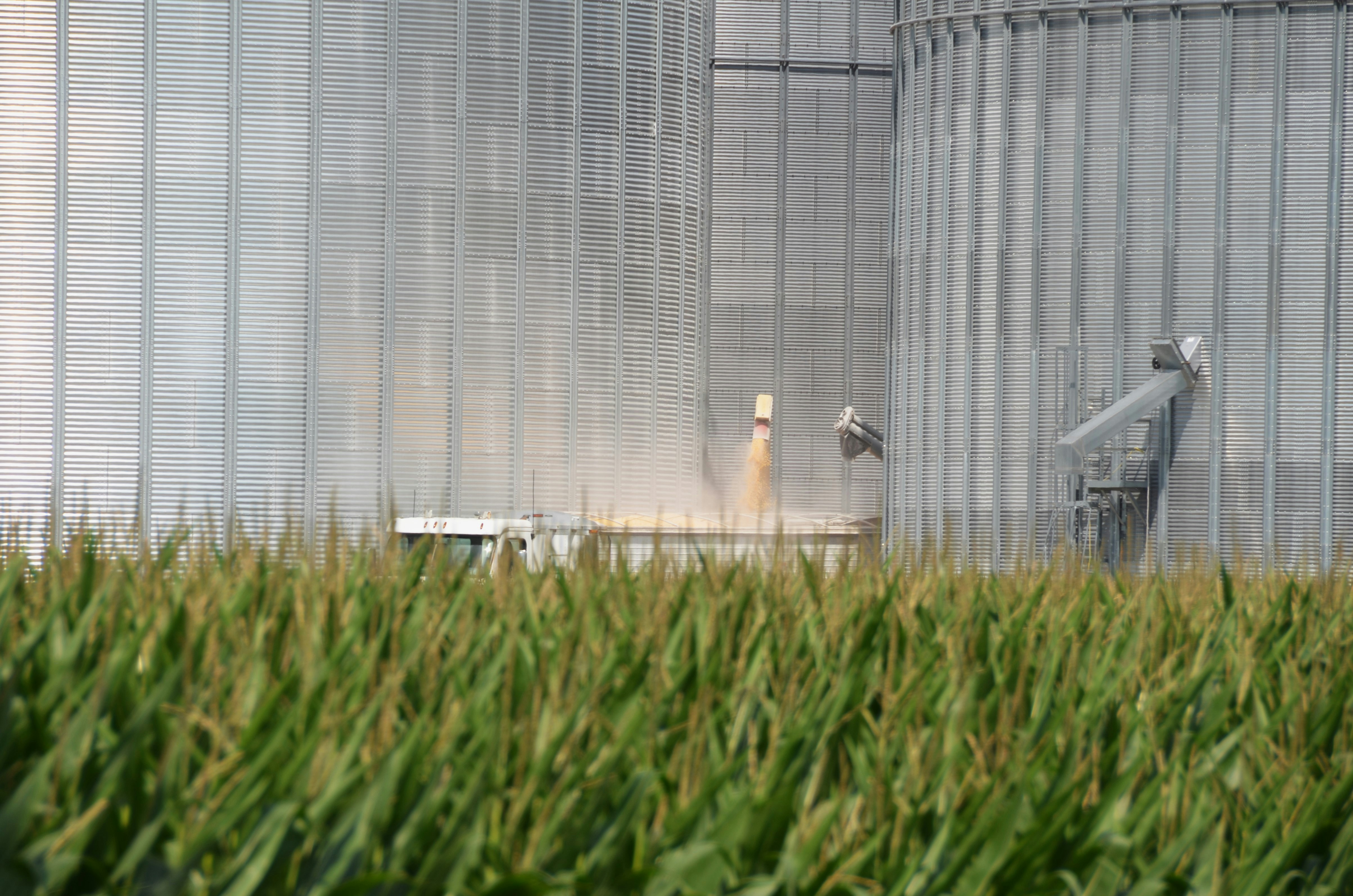 Loading corn from the Grain Elevator onto a grain trailer