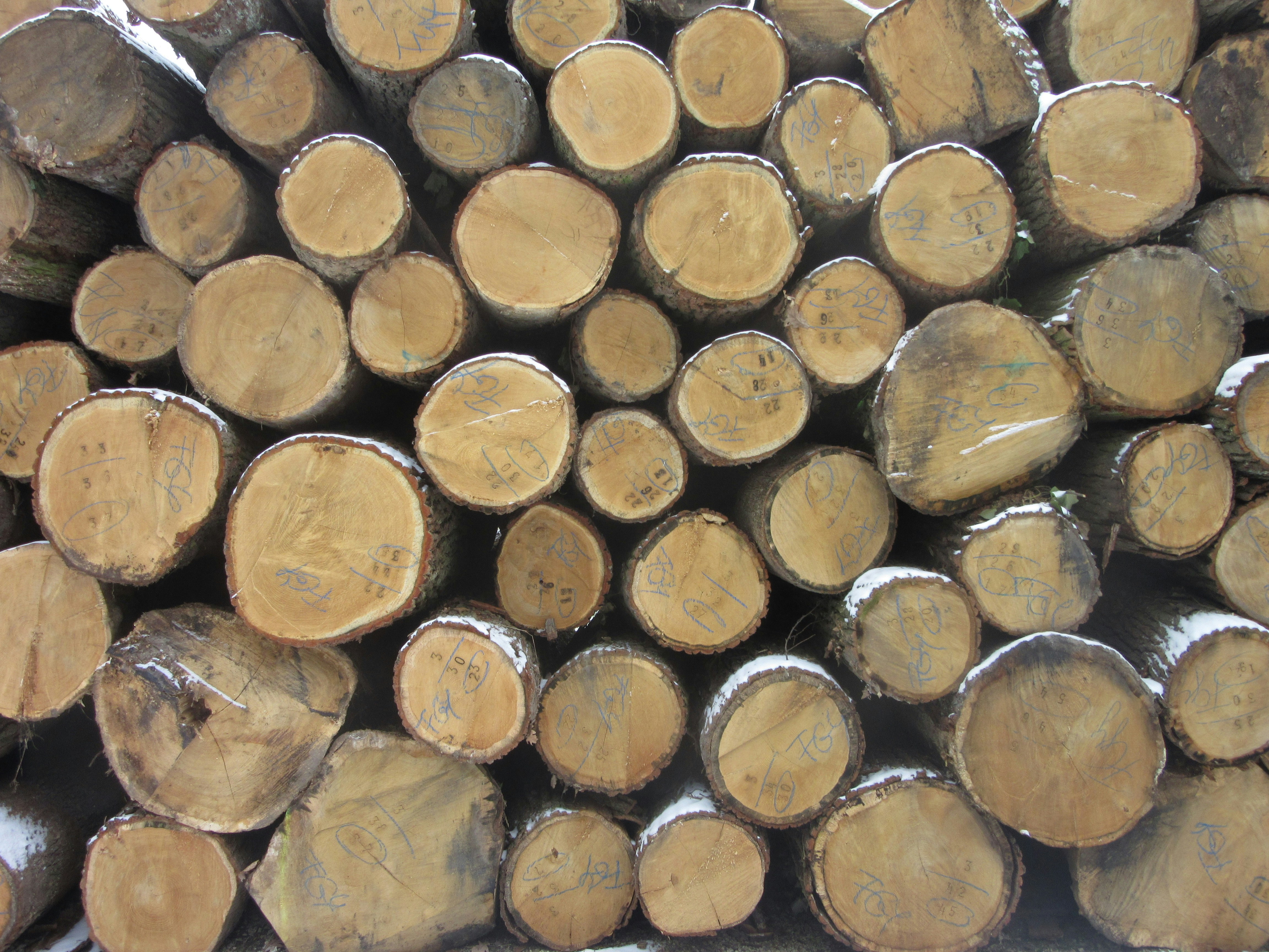 Photo by Balint Miko with Canon PowerShot SX600 HS