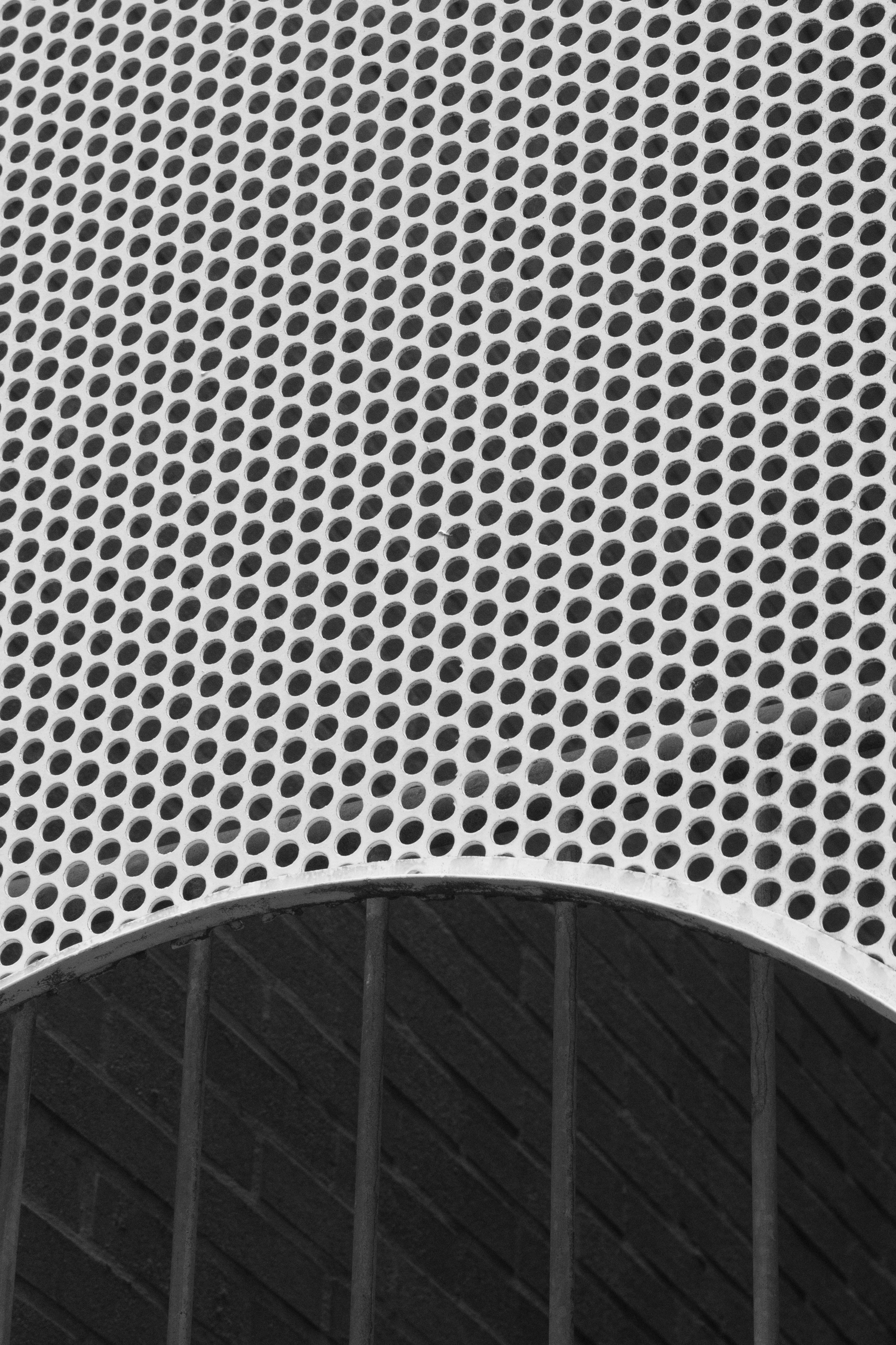 Photo by Edoardo Matteoni with Nikon Zfc