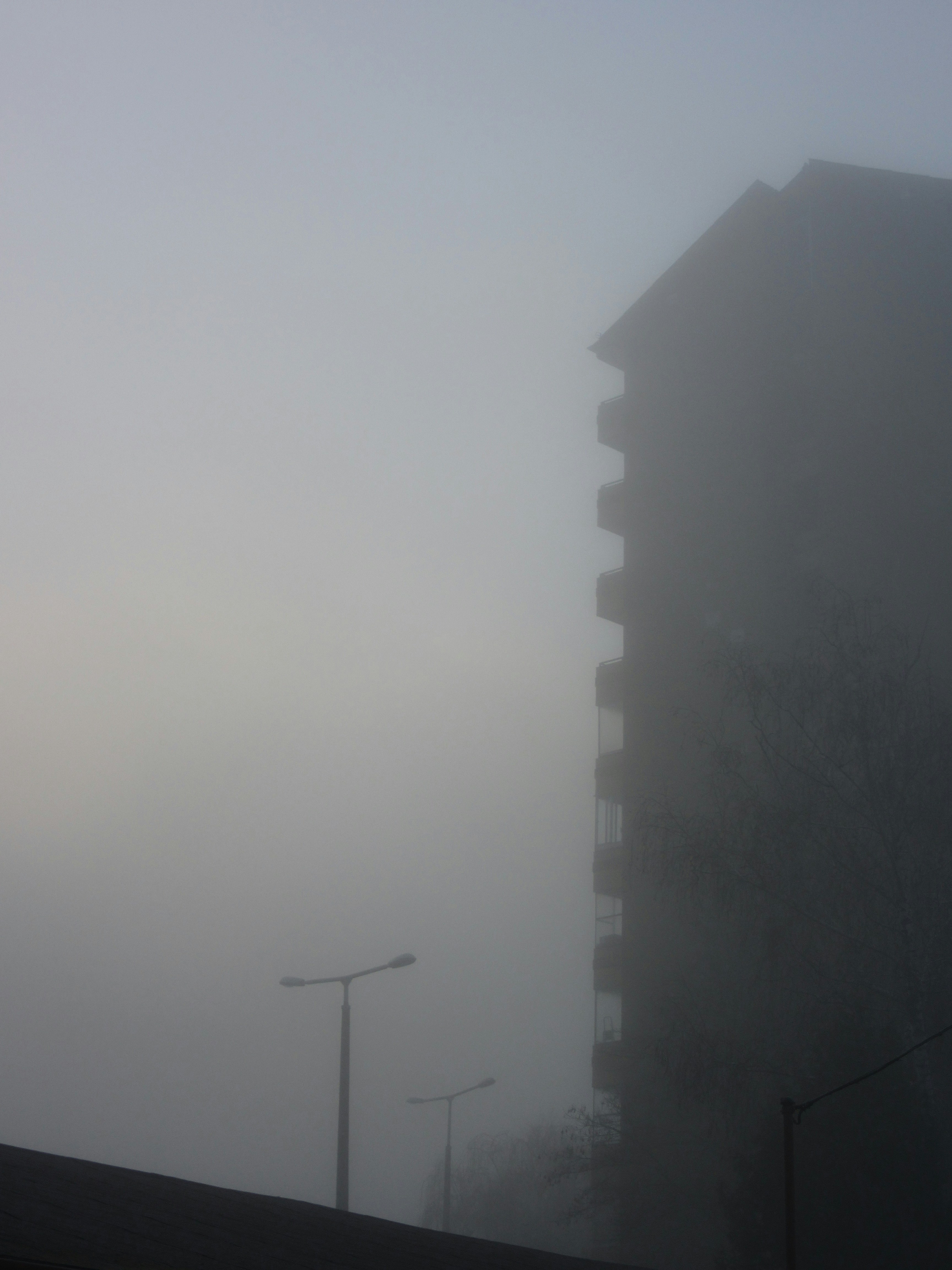 Fog shrouds an urban scene, with a tall building silhouette rising along the right and faint streetlights dissolving into the haze. This is a photograph.