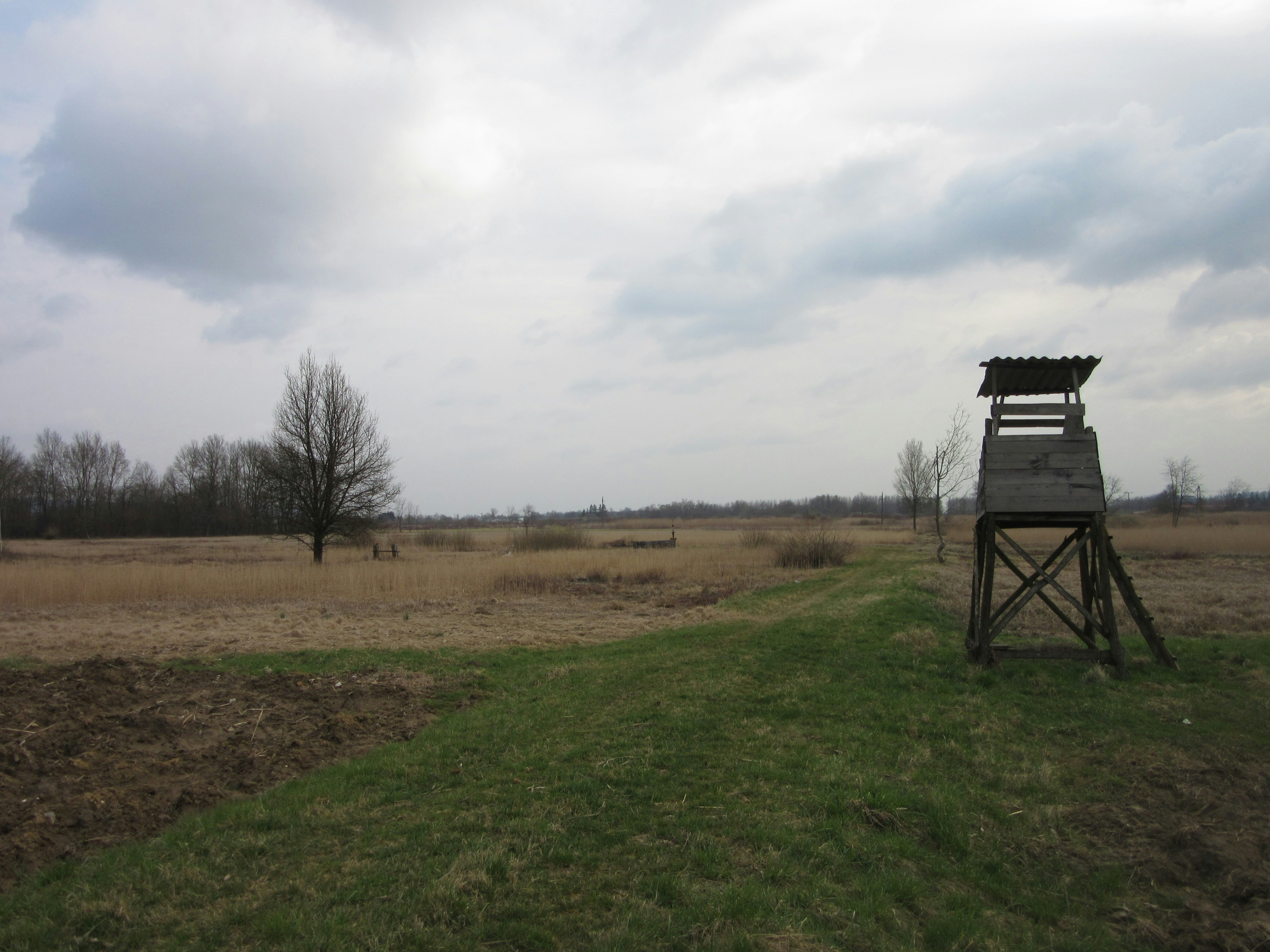 Photo by Balint Miko with Canon PowerShot SX600 HS