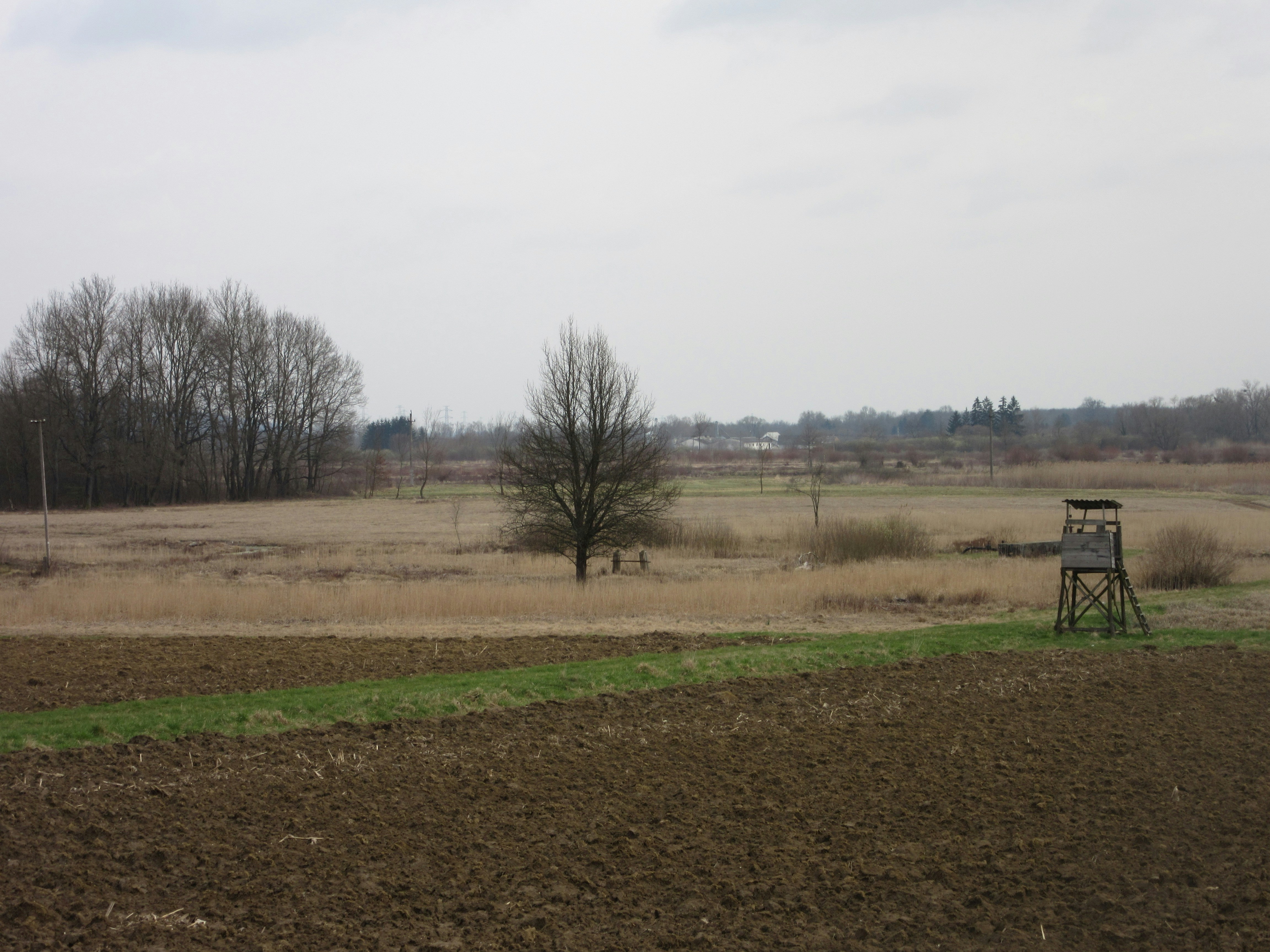 A barren field stretches toward the horizon under a gray, overcast sky. A solitary tree and a wooden watchtower punctuate the landscape with a muted, rural stillness.