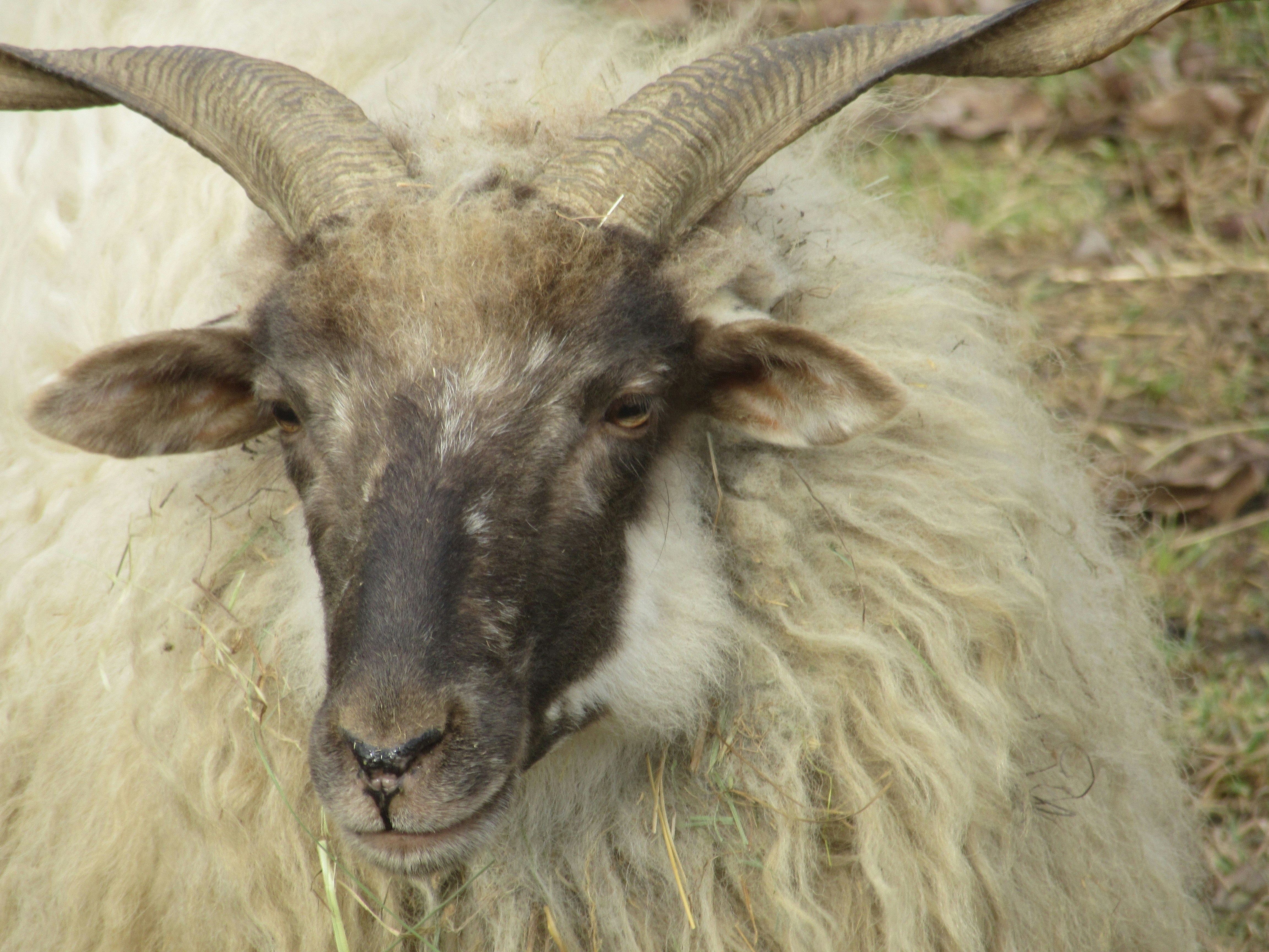 Photo by Balint Miko with Canon PowerShot SX600 HS