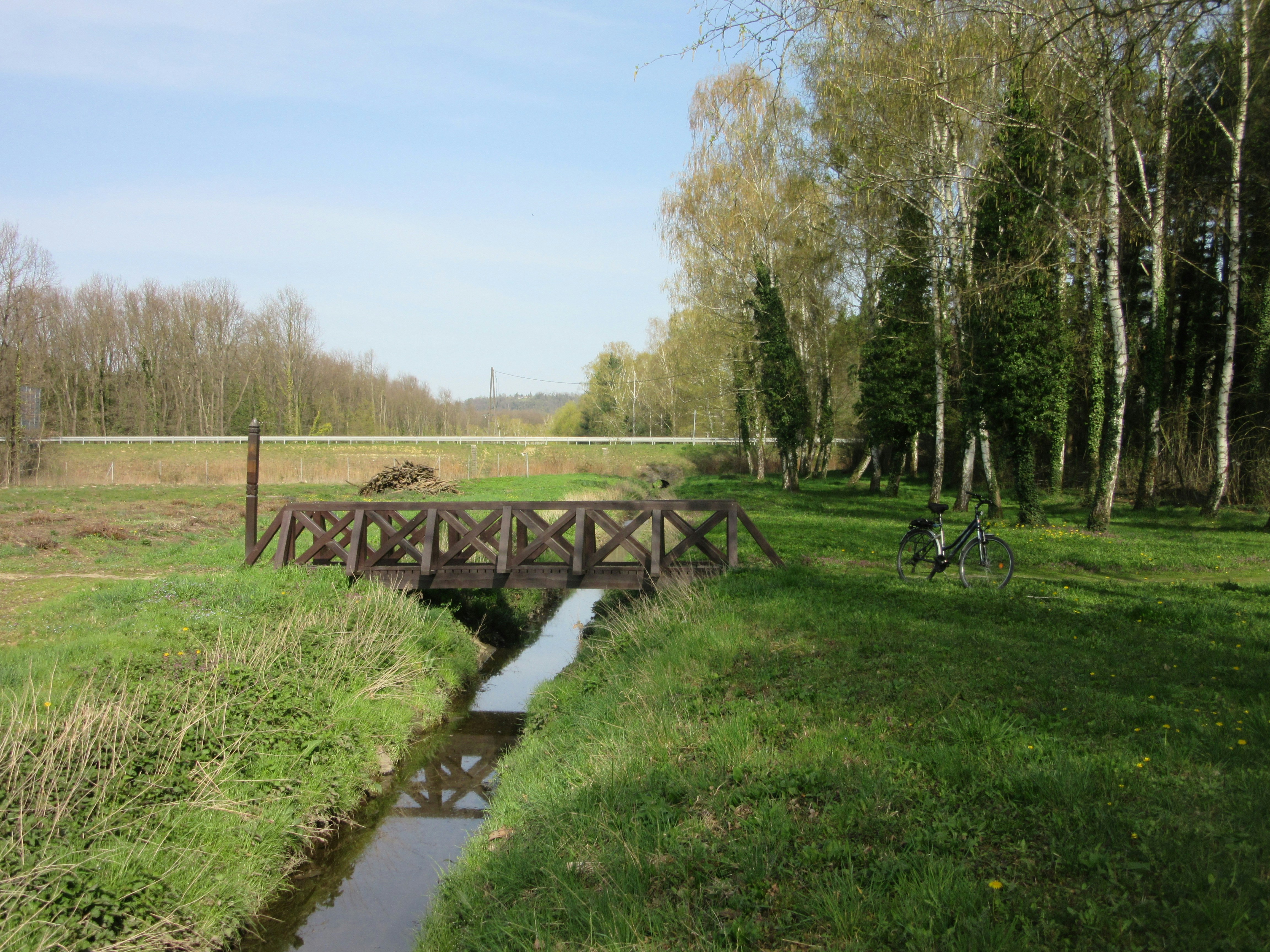 Photo by Balint Miko with Canon PowerShot SX600 HS