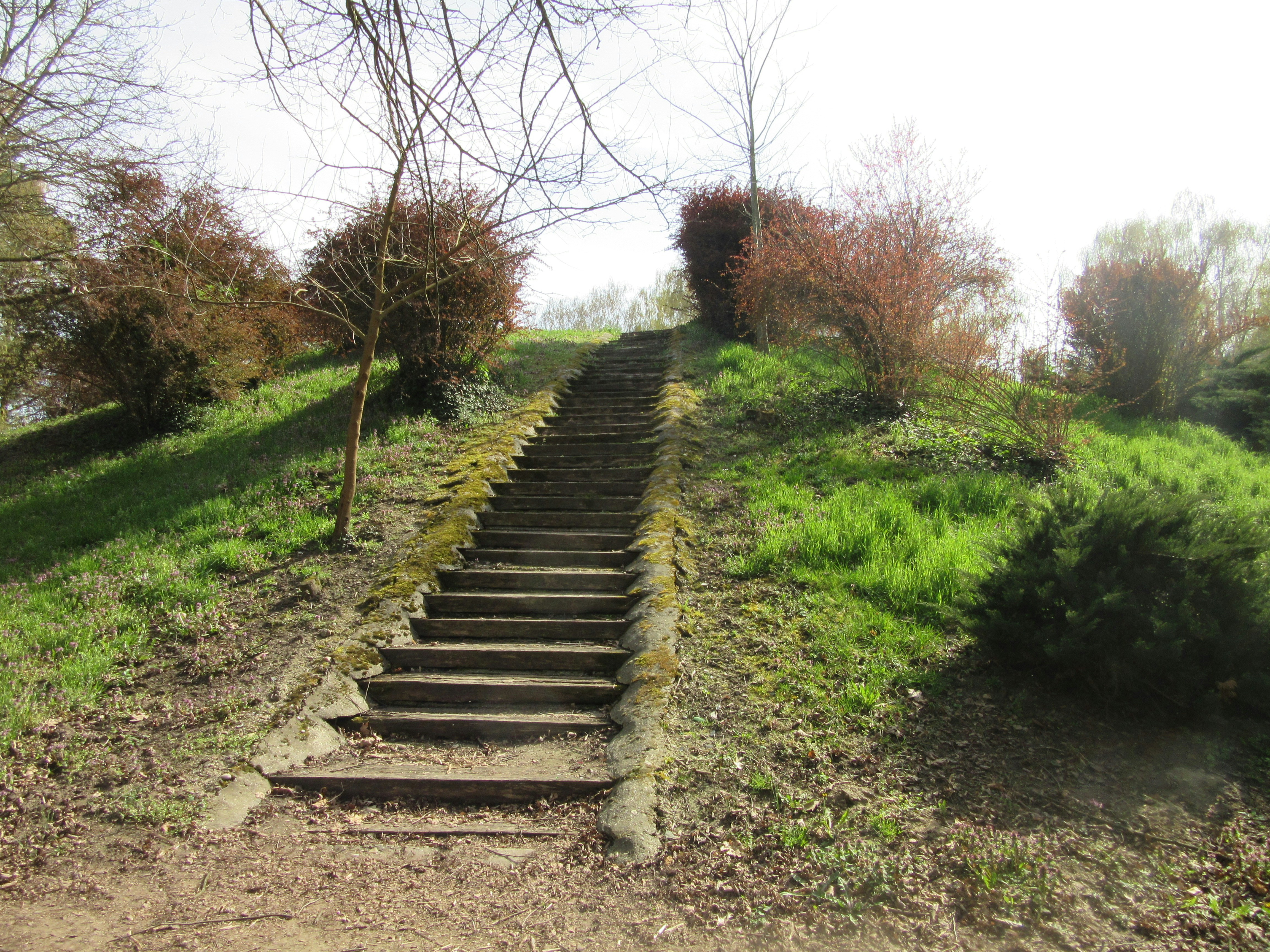 Sunlit hillside staircase rises through green grass and bare trees toward a bright horizon.