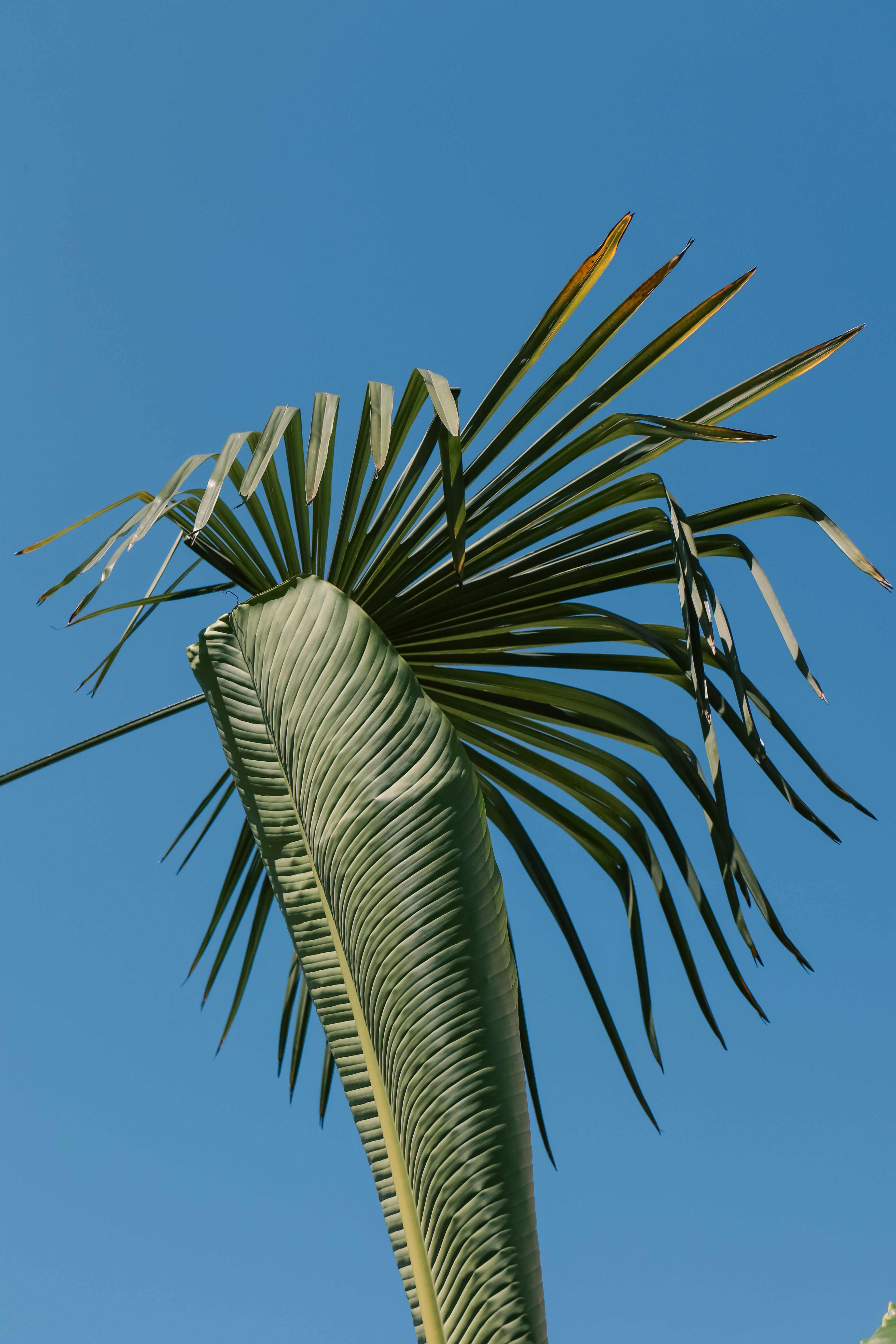 Photo by Roman Petrov with Canon EOS 7D Mark II