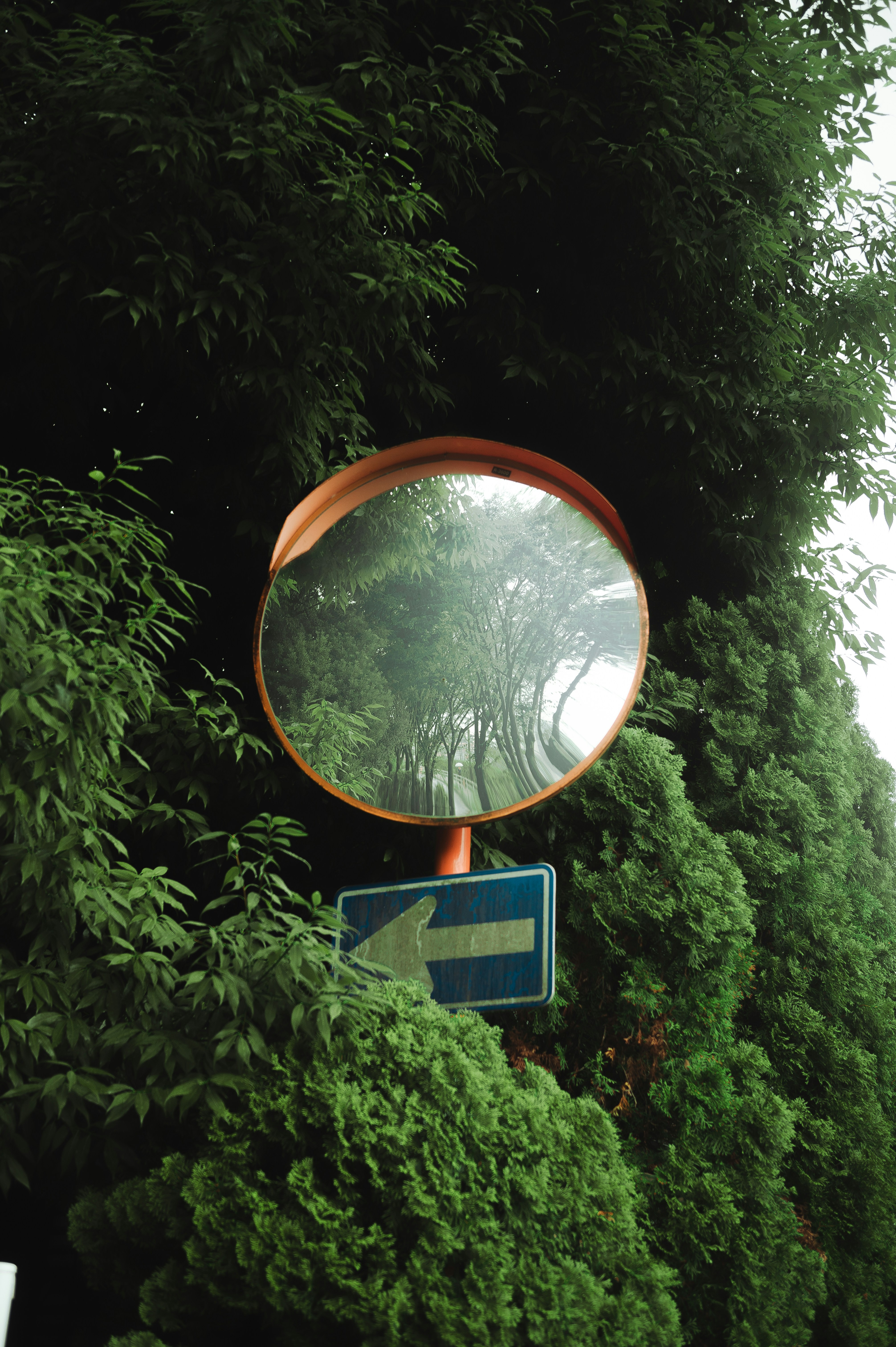 Photo by Ryunosuke Kikuno with Nikon Z6 II