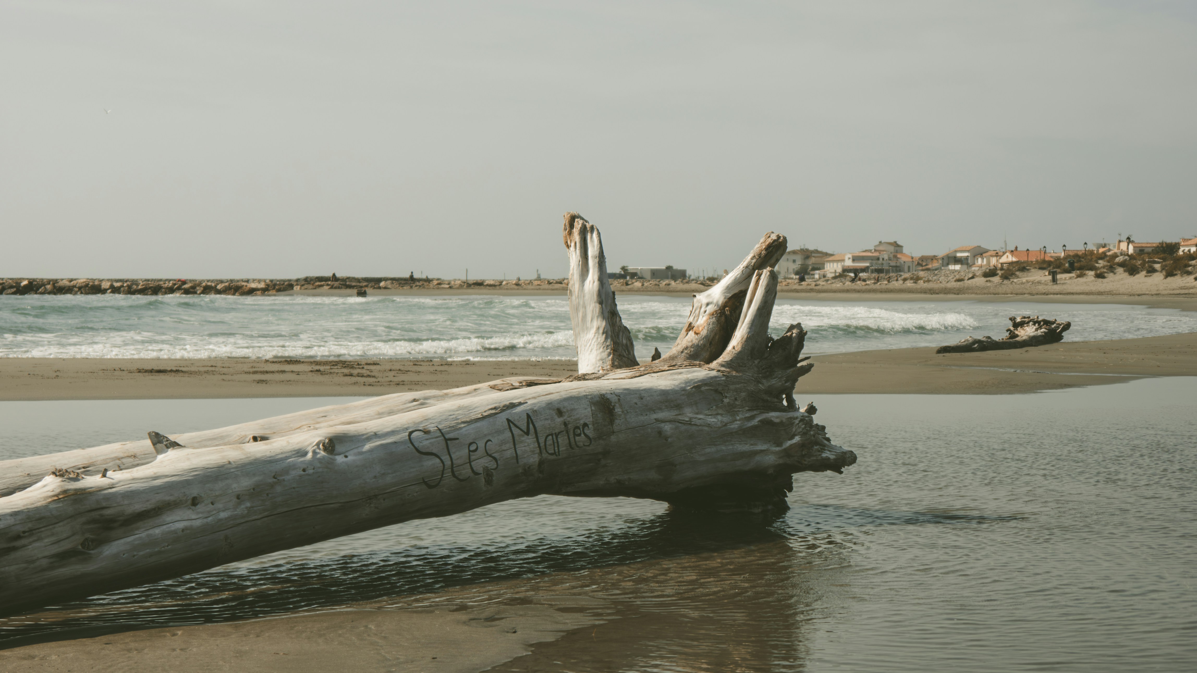 Large driftwood log resting on a sandy beach with gentle waves in the background.