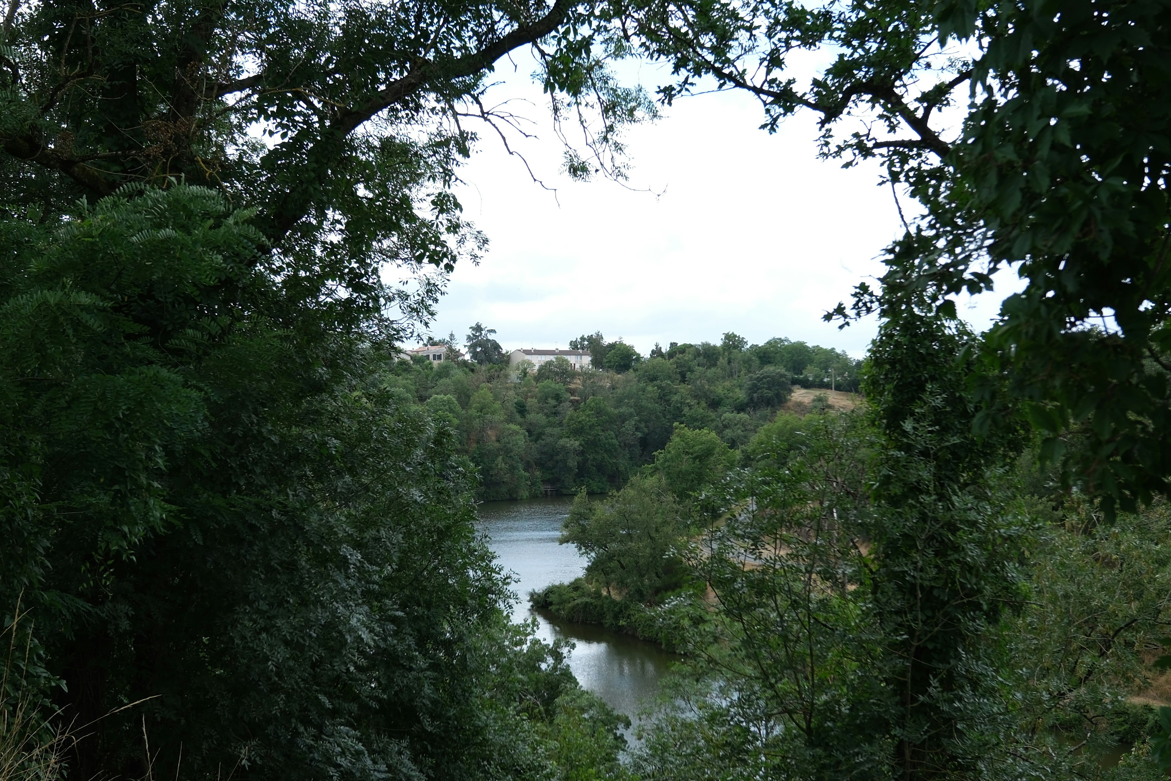 Photo by Walter Coppola with Fujifilm X-H2