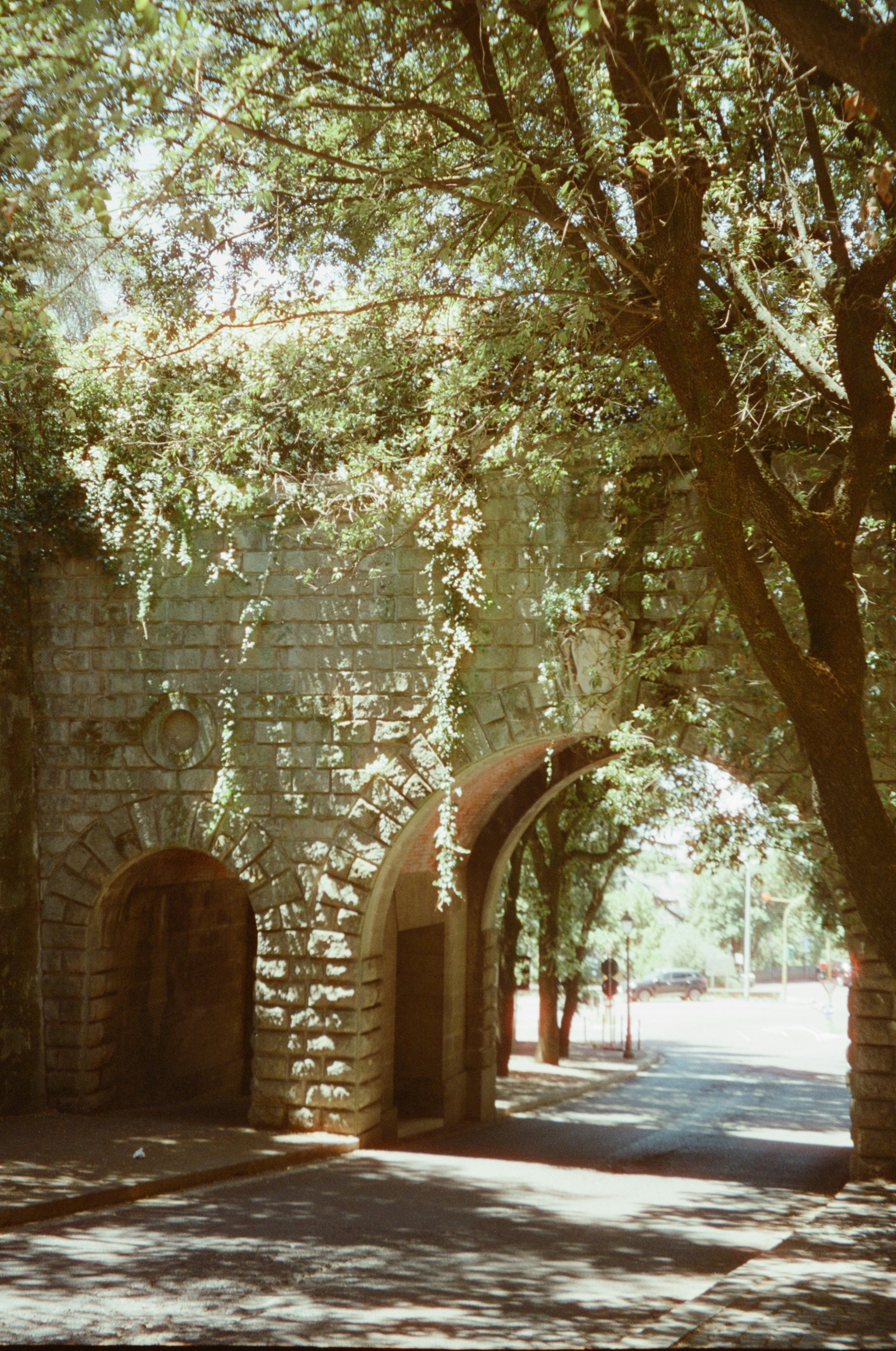 Photo by Krišjānis Kazaks with Pentax Espio 145M Super