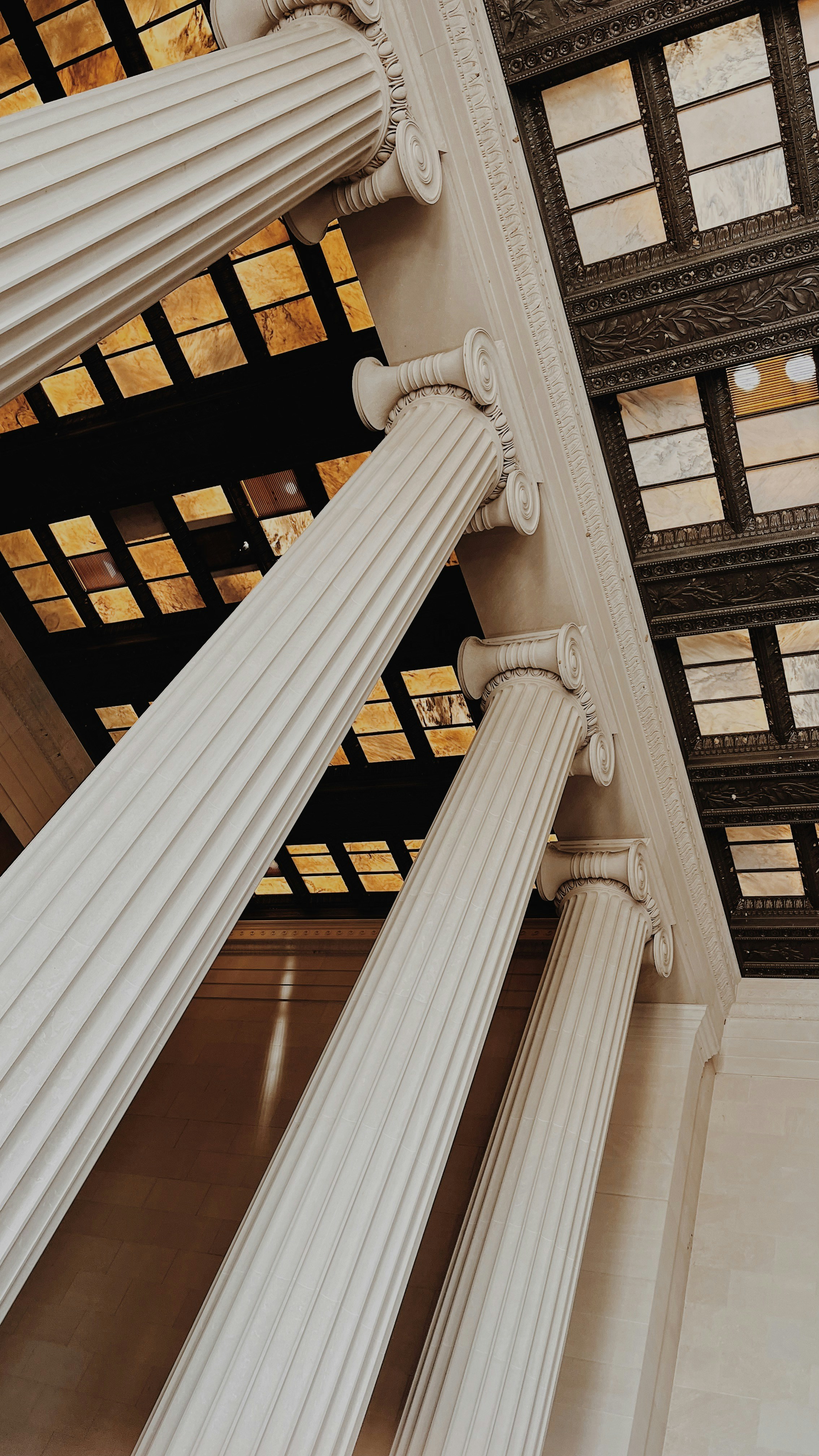The ceiling of a building with columns and windows photo – Free ...