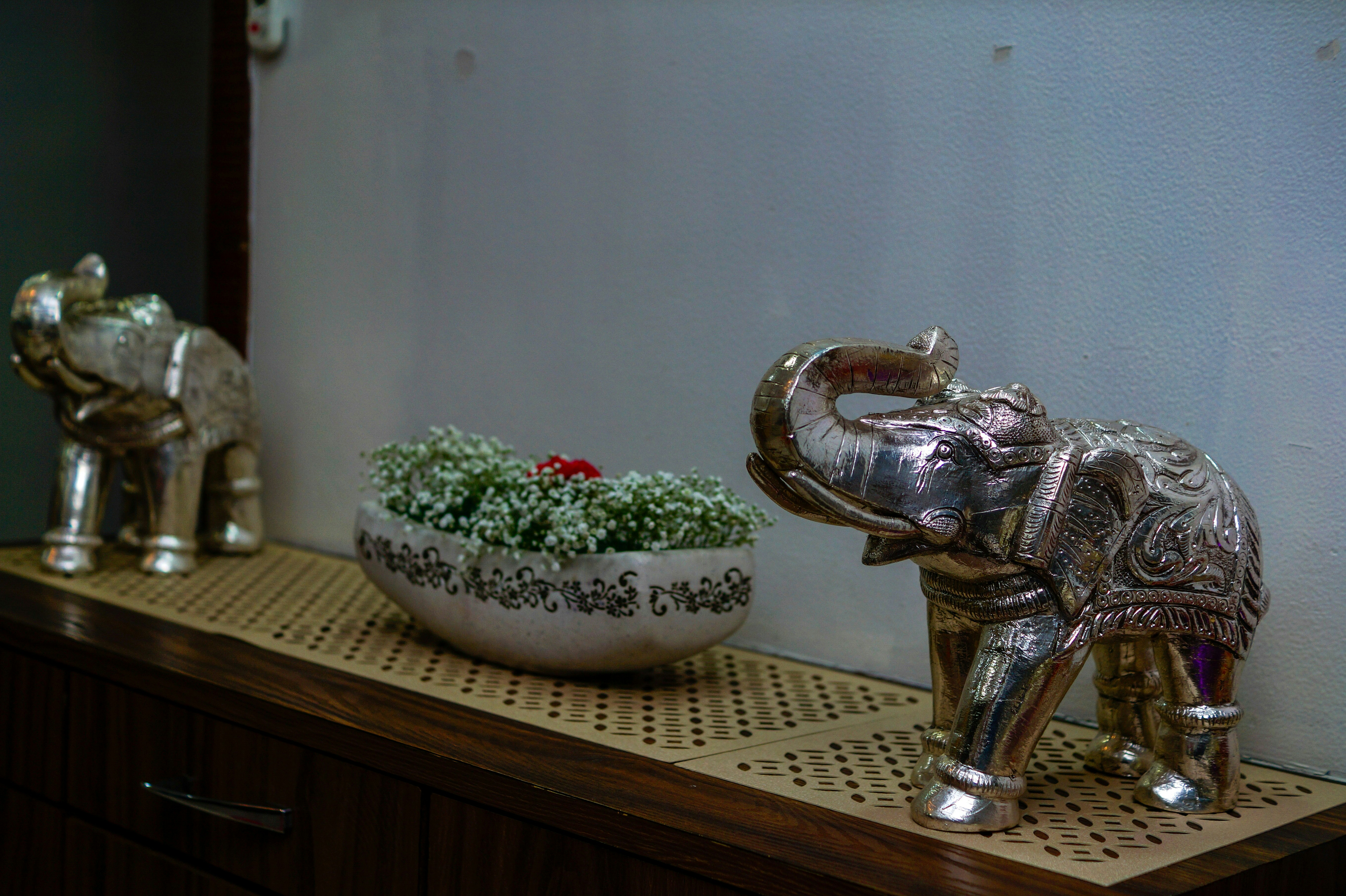 Photo by Rosario Fernandes with Sony Alpha 58