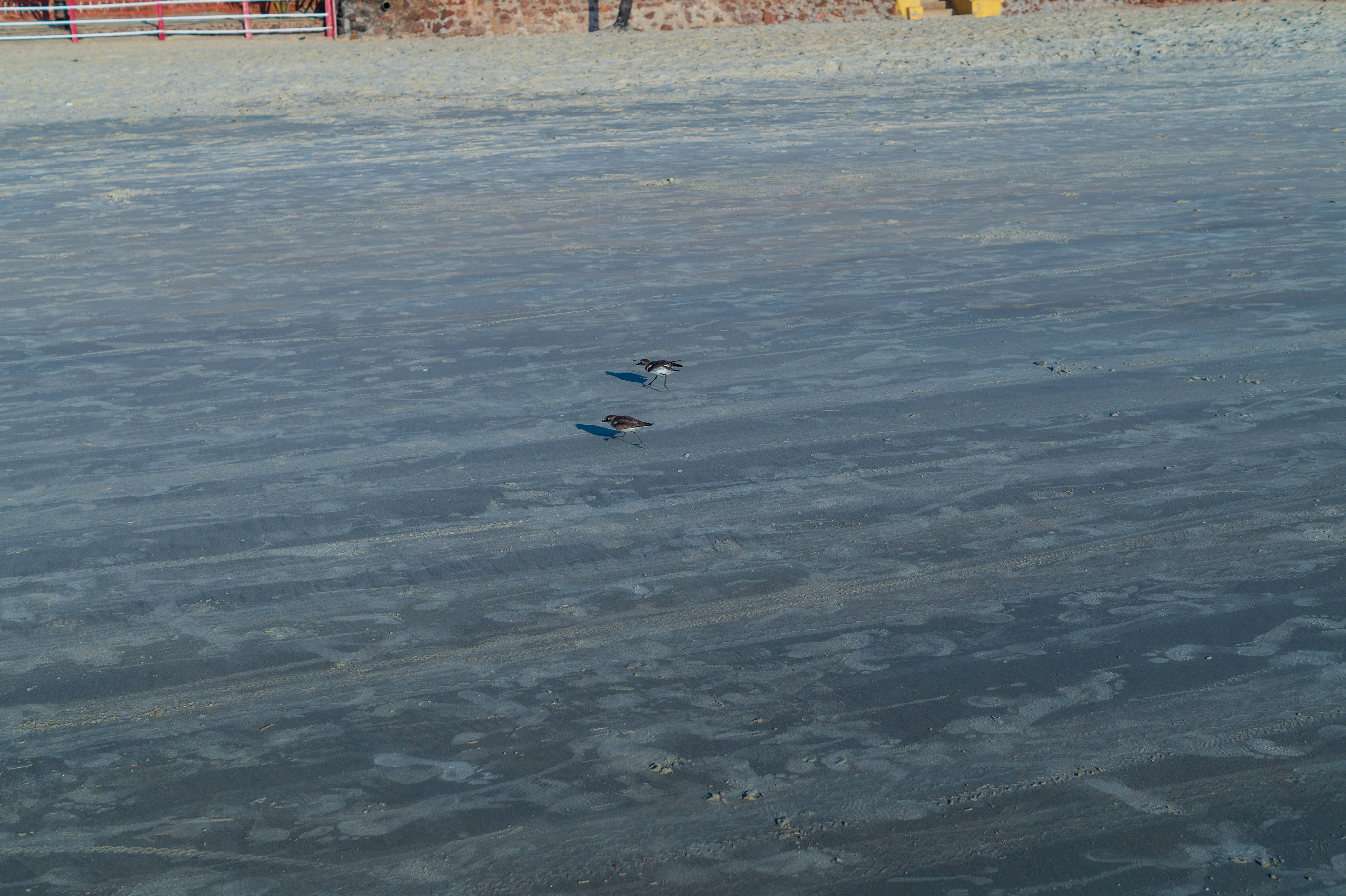 Photo by Rosario Fernandes with Sony Alpha 58