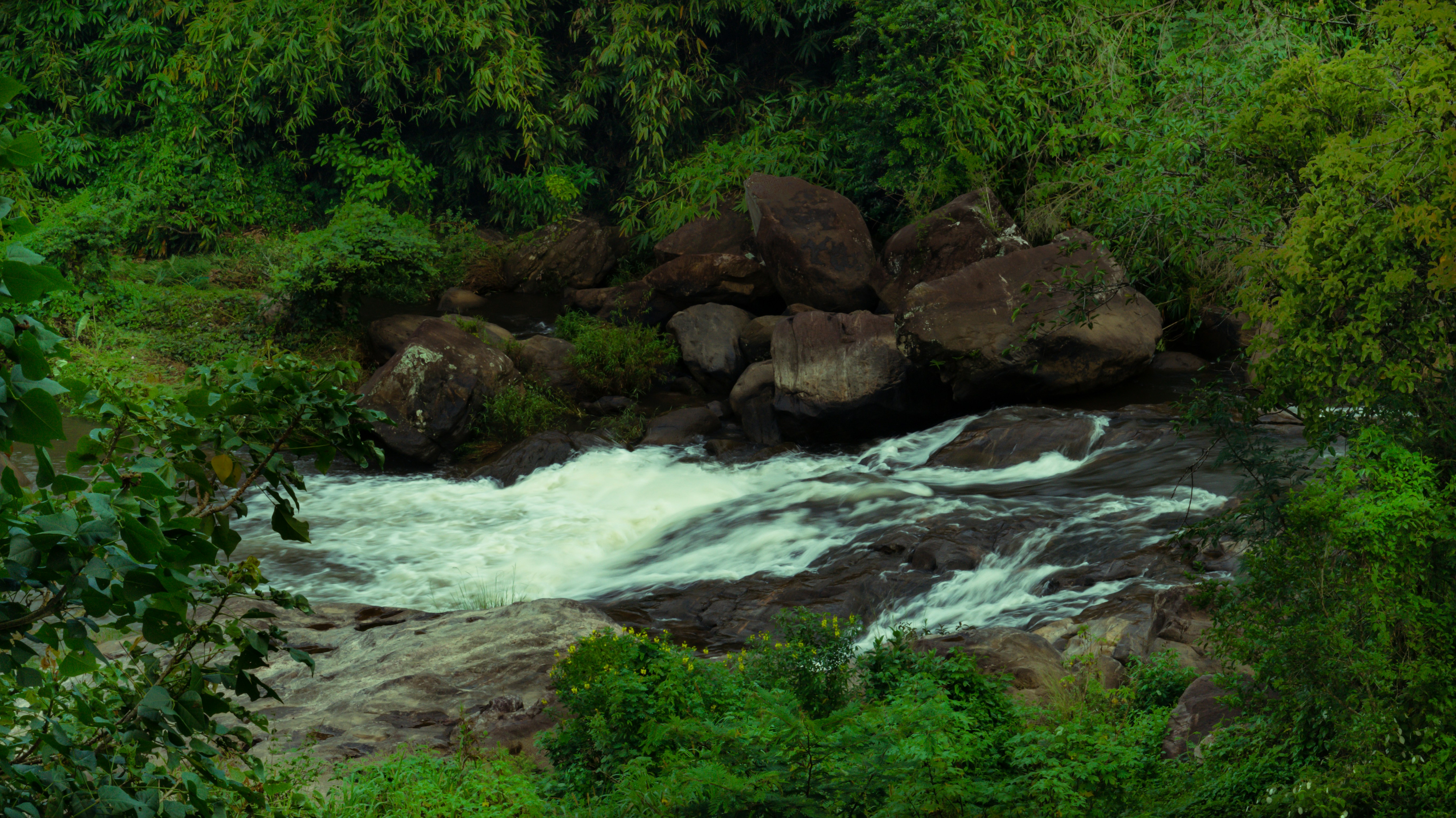 Green Gorge Rapids: Whitewater Woven Through Mossy Boulders