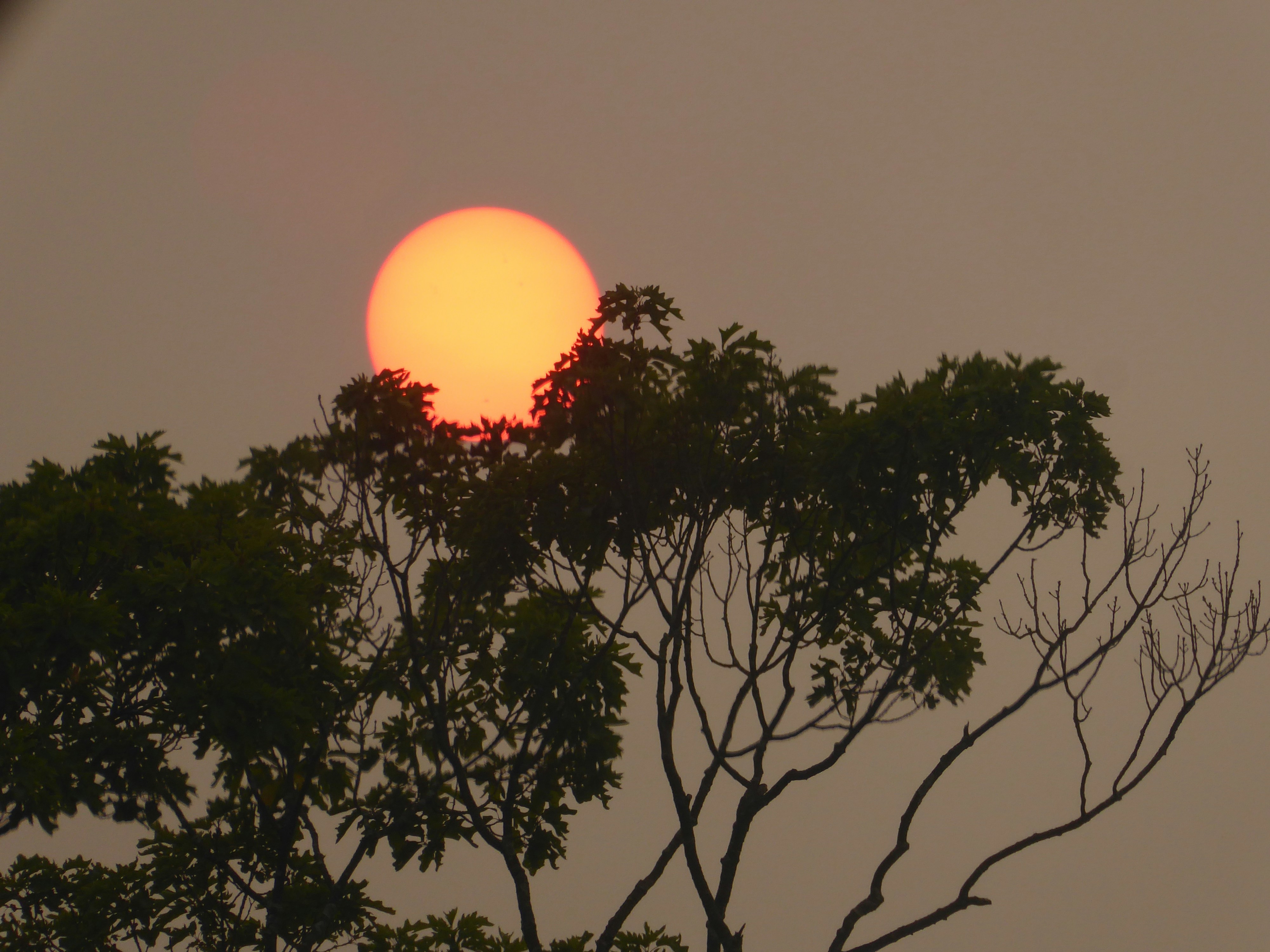 Sun hangs low behind a dense silhouette of trees, casting warm orange tones across a hazy sky.