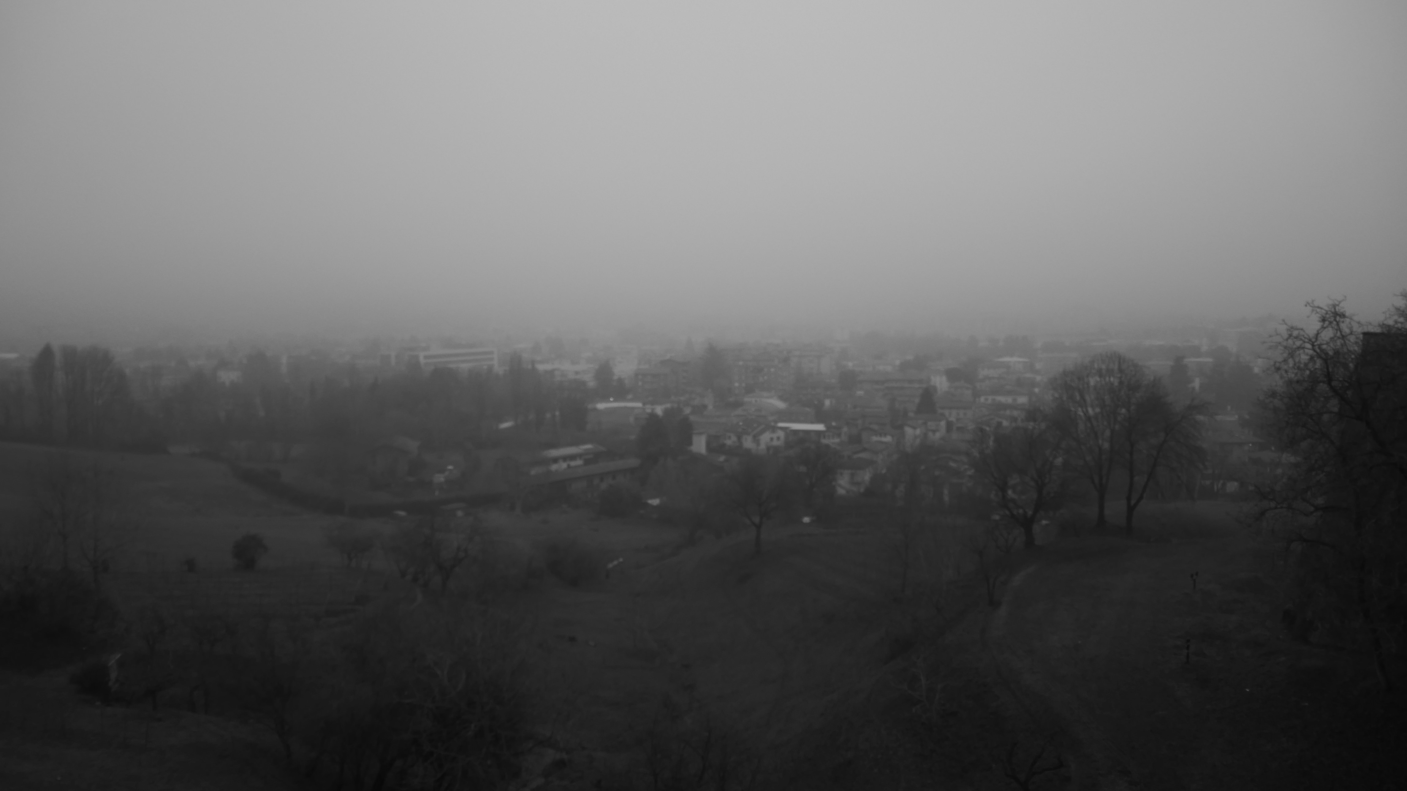 Veil of Fog Over Urban Landscape
