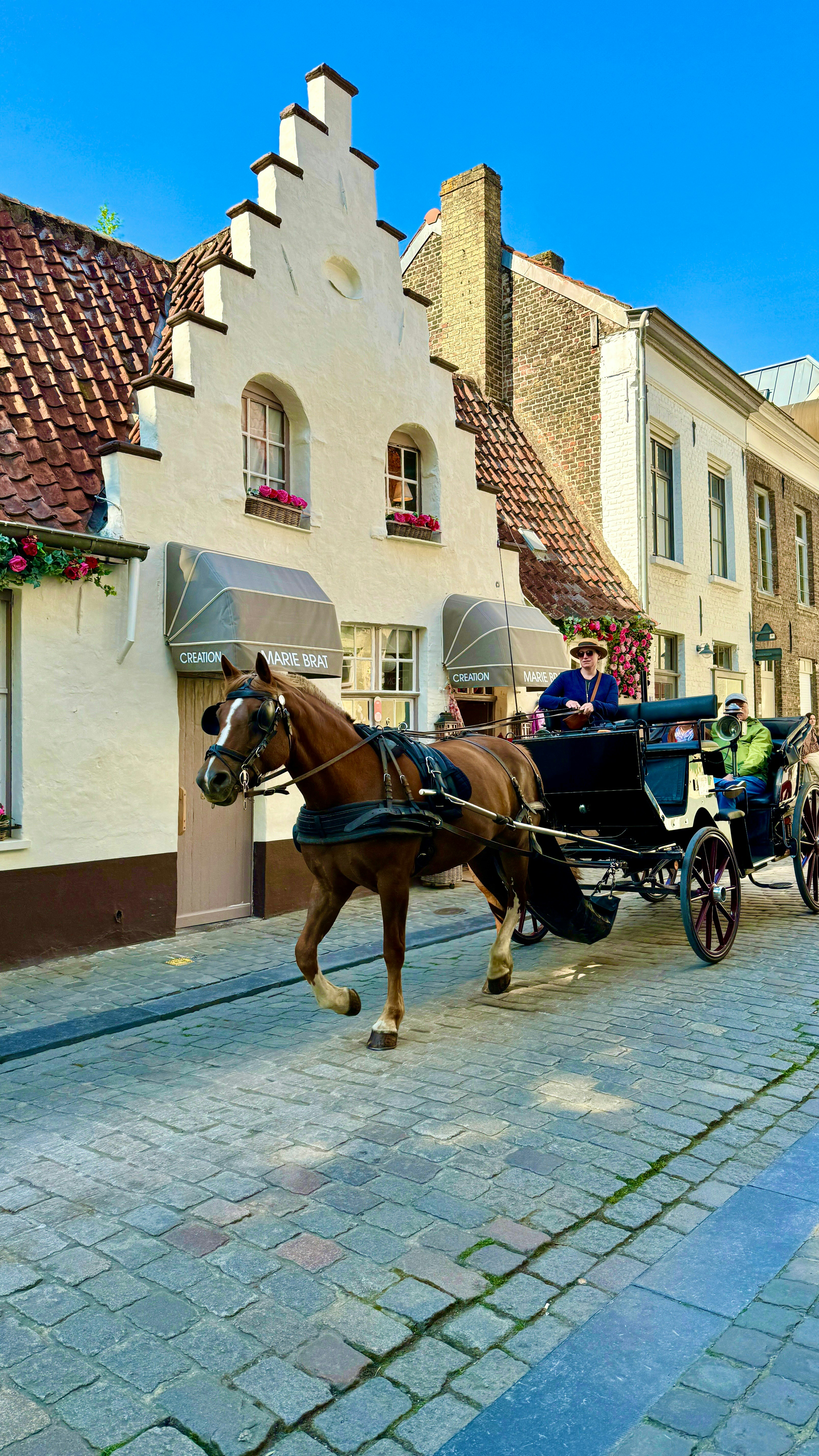 Photo by Hasanuzzaman Shamim with Apple iPhone 15 Pro Max