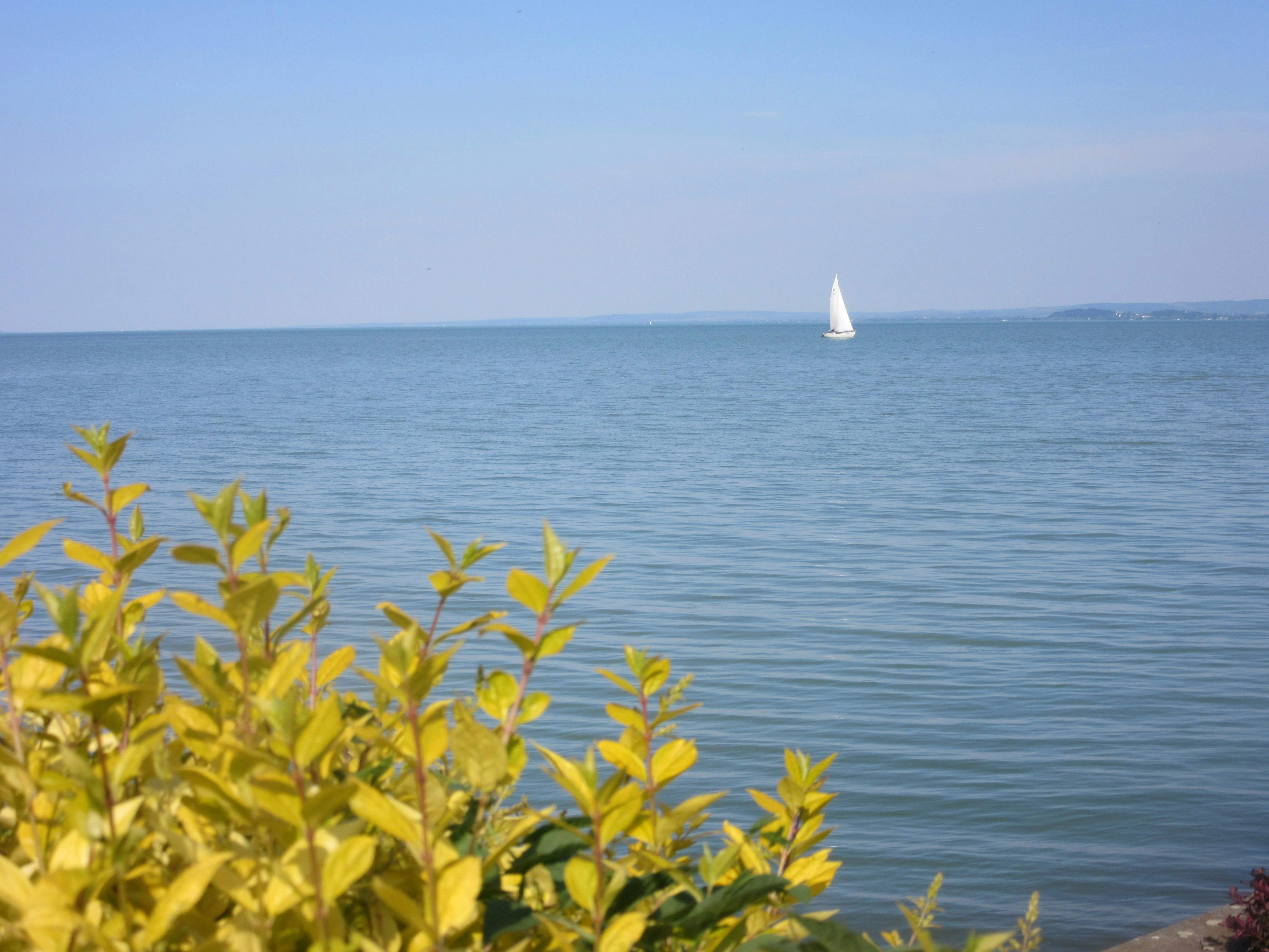 Photo by Balint Miko with Canon PowerShot SX600 HS