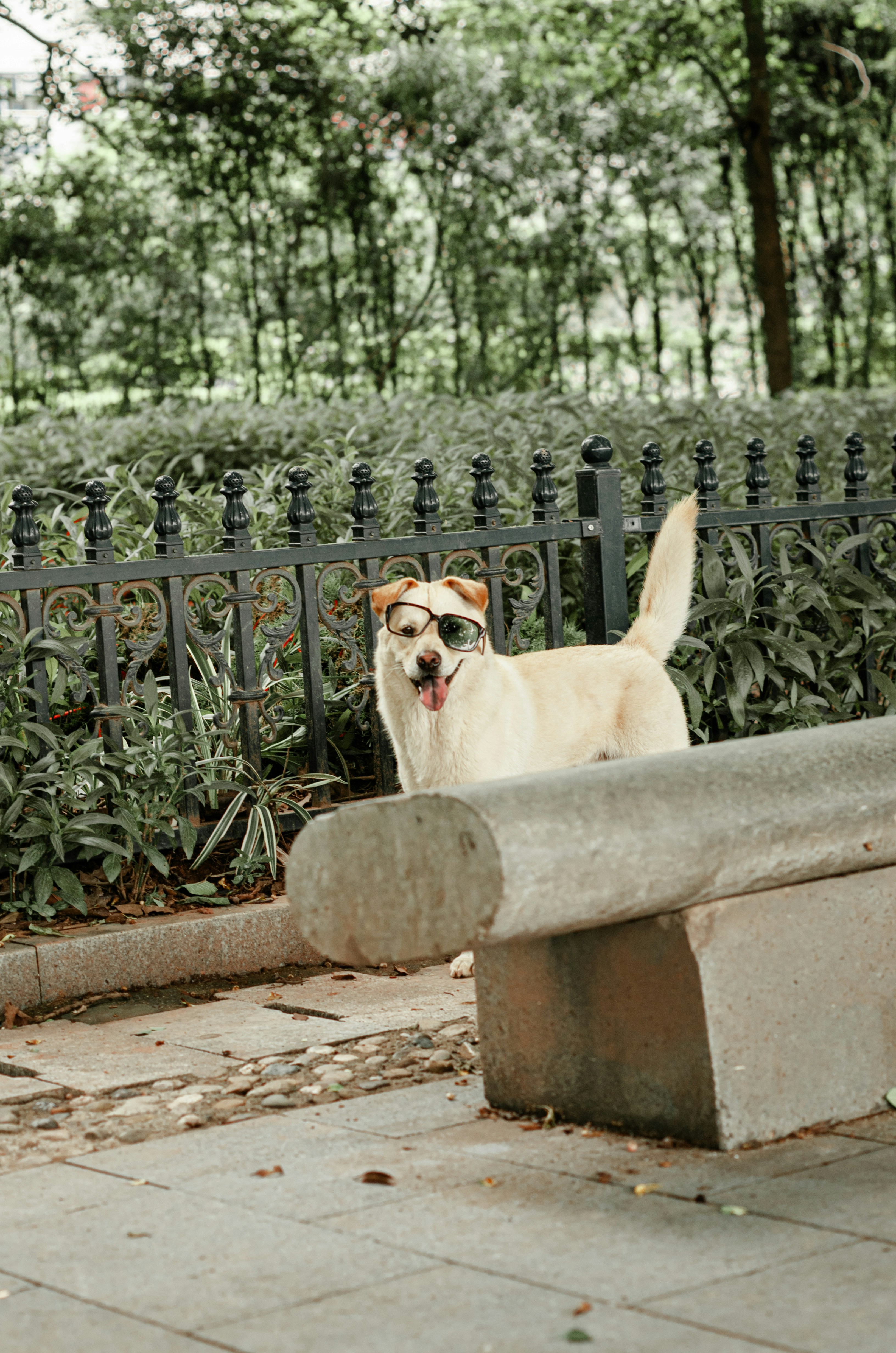 Photo by Petra Andrews with Pentax K-5 II