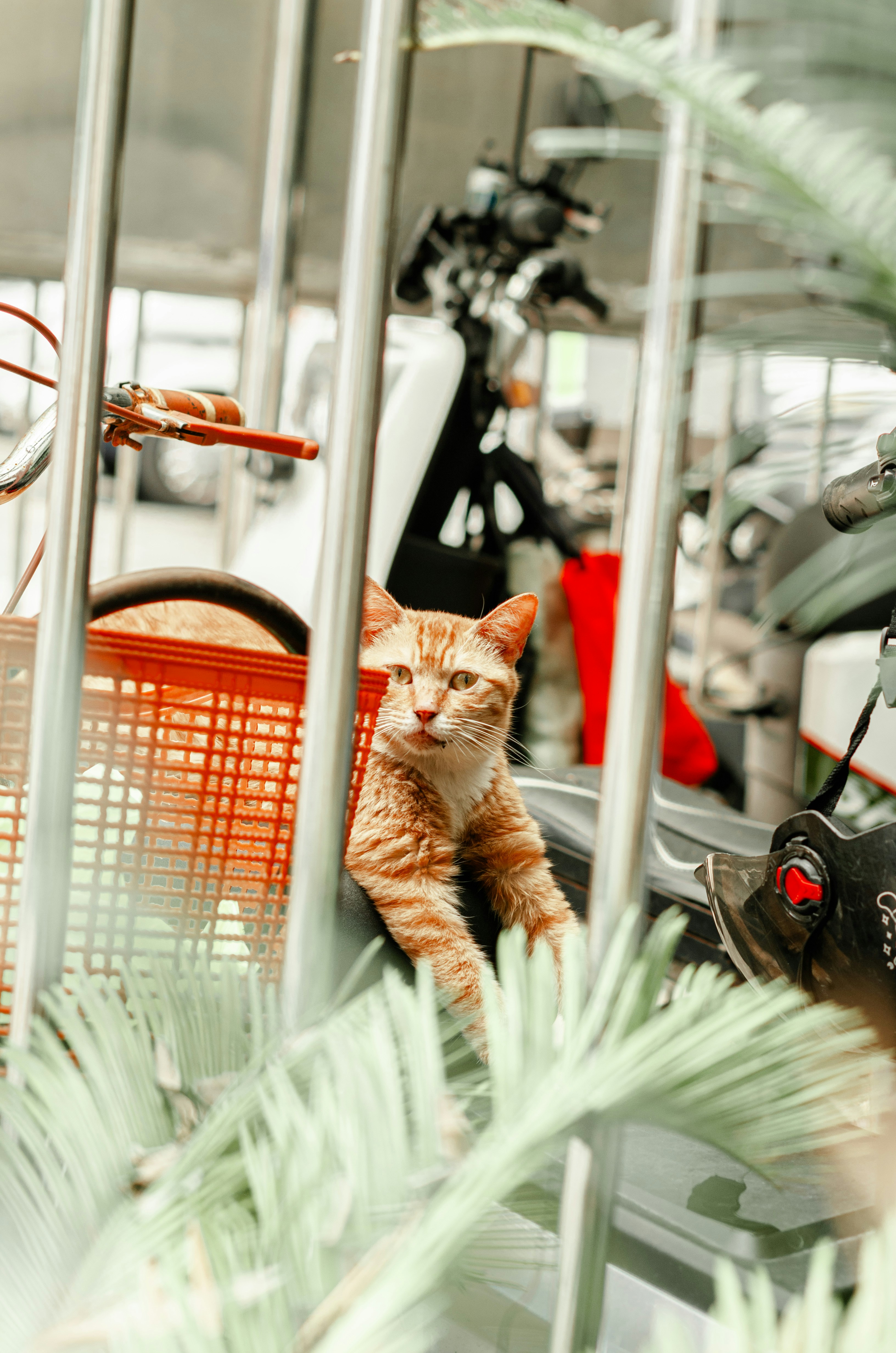 Photo by Petra Andrews with Pentax K-5 II