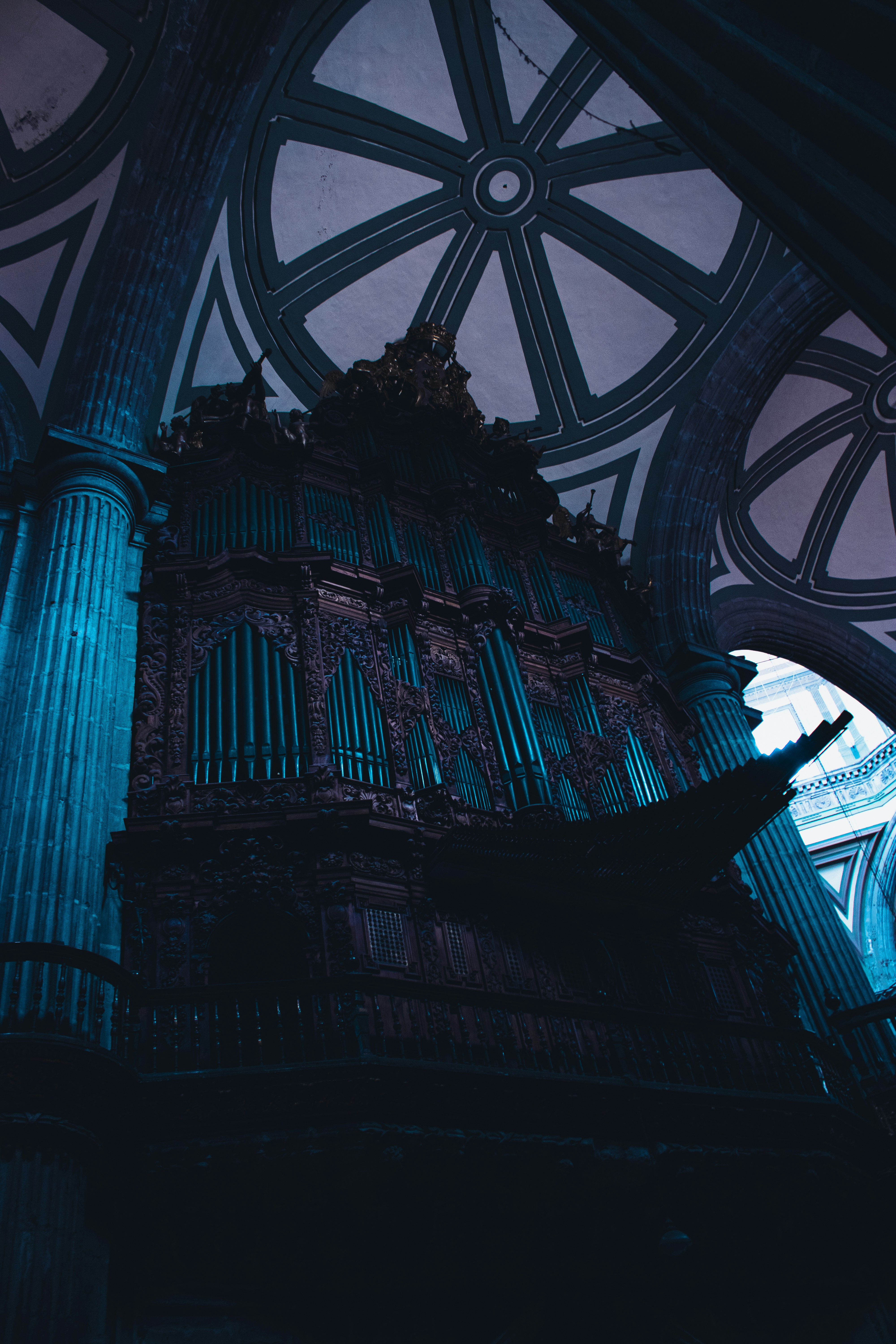 Majestic Symphony of Shadows and Light