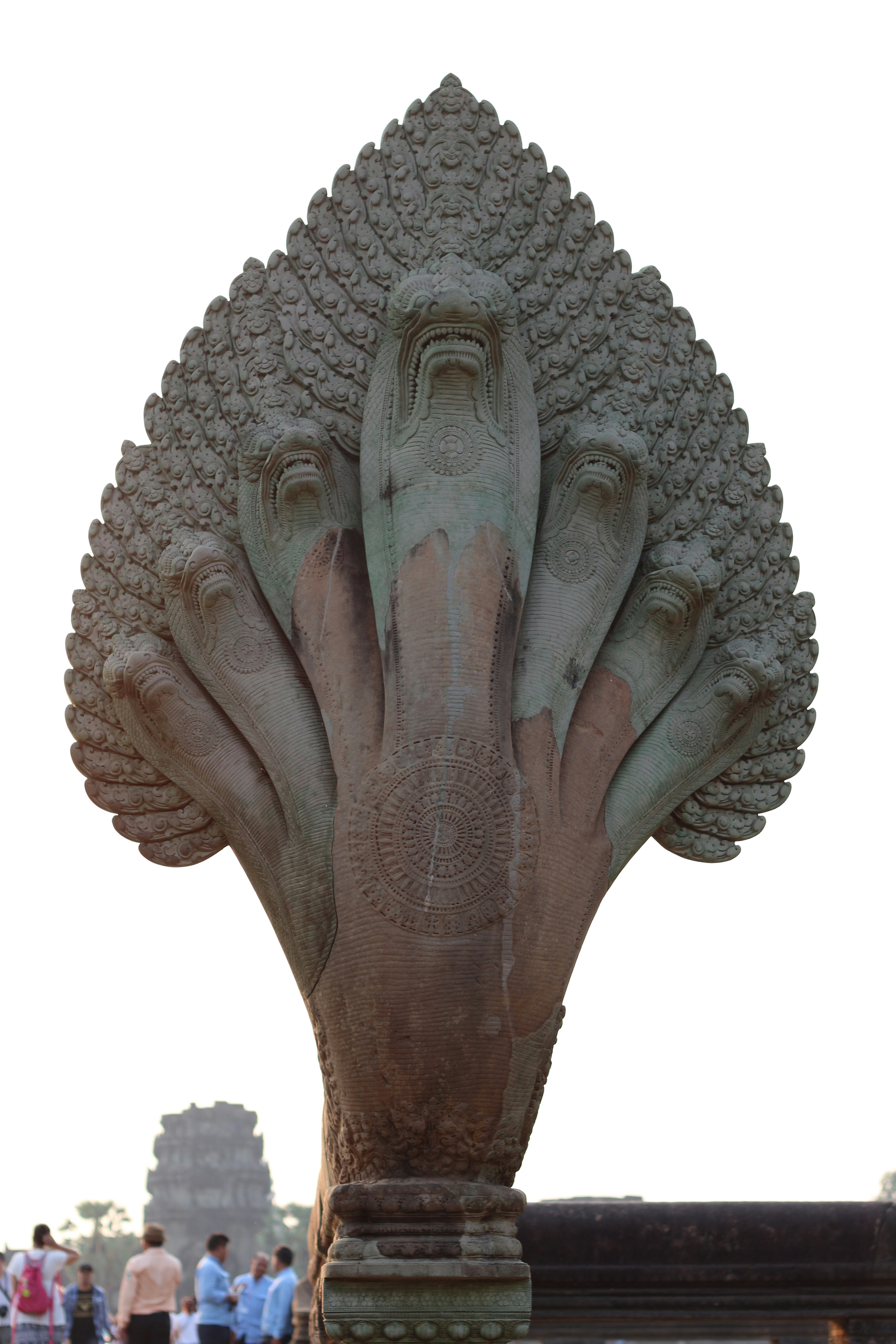 Photo by Chhun Yaroth with Canon EOS 70D