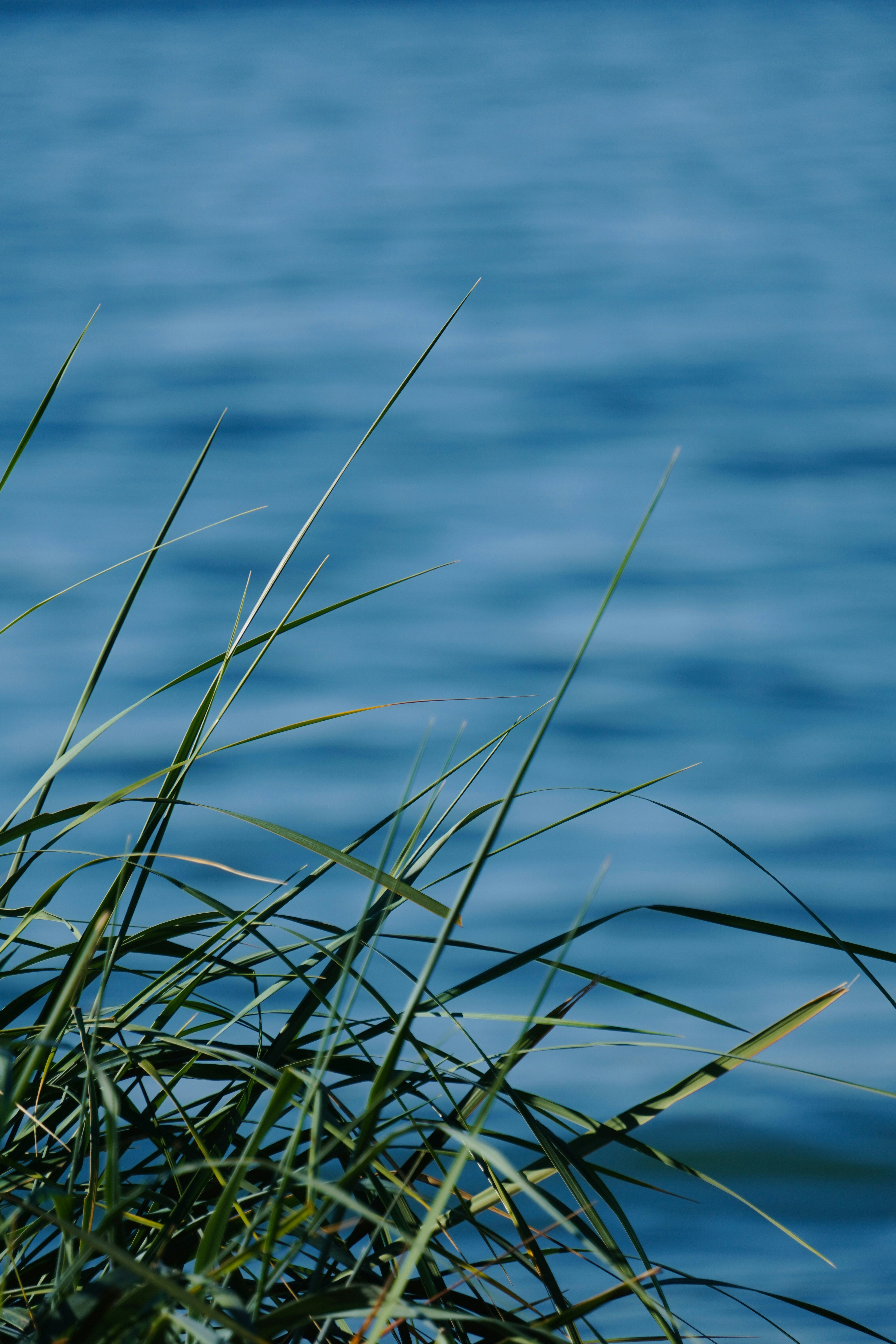 Photo by Meina Yin with Sony Alpha 6400