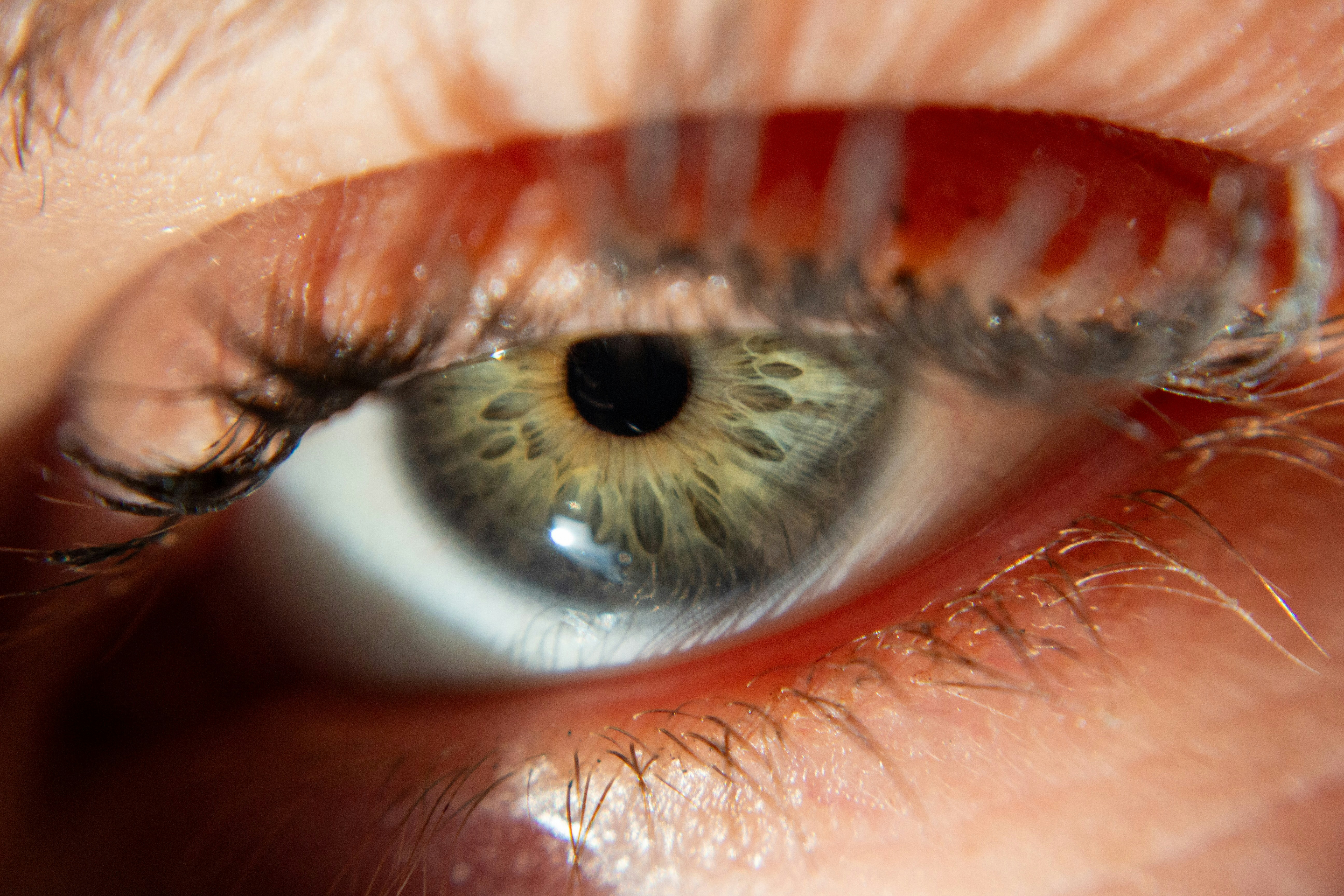 A close up of a person's eye with long eyelashes photo – Free Green ...
