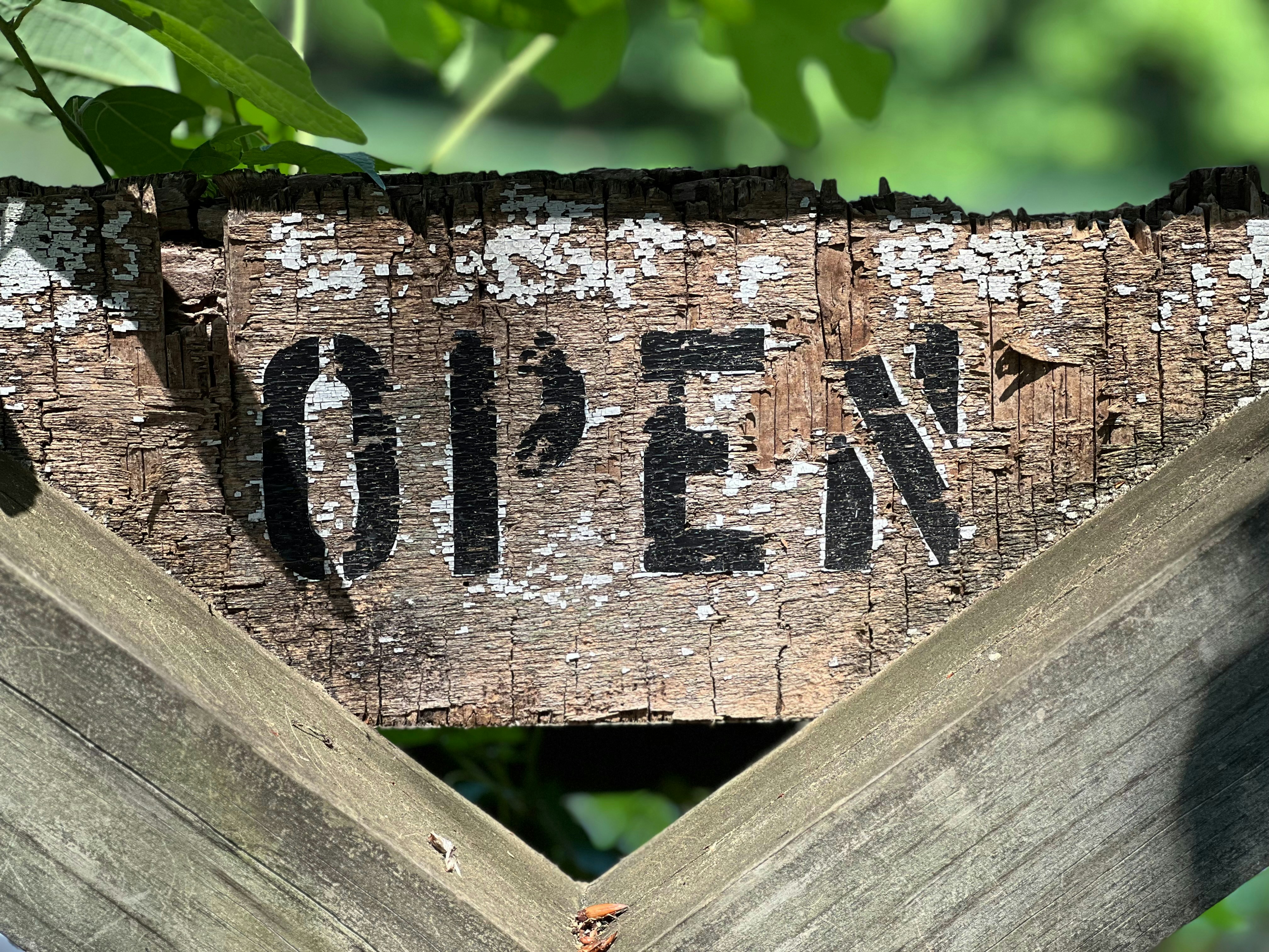 Weathered wooden sign displaying the word 'OPEN' surrounded by lush greenery.