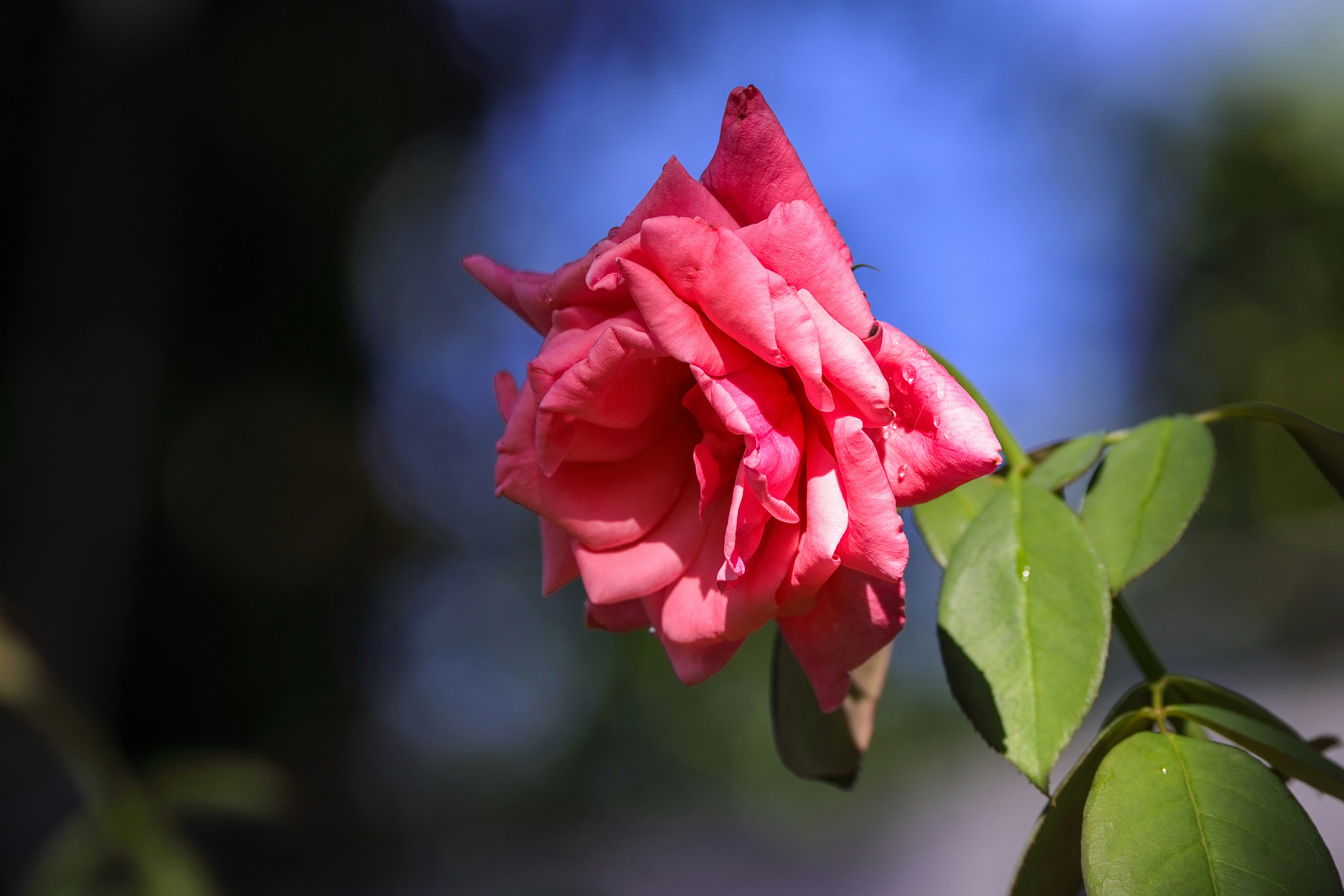 30 Best Moira Rose Quotes from Schitt's Creek That Slay