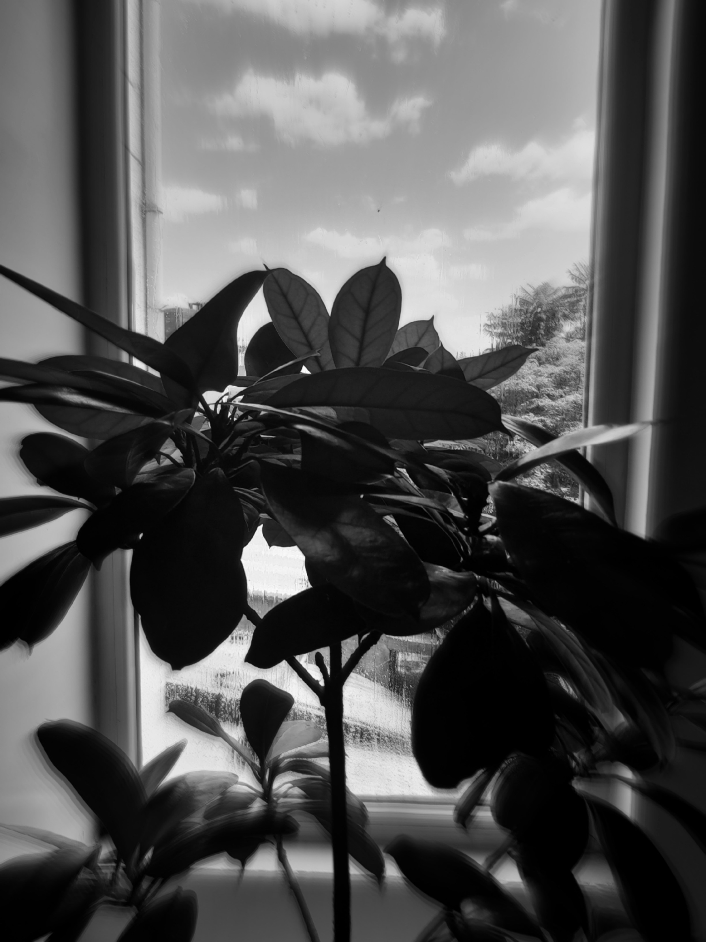 Dita Moh (@ditamoh) | Comunidad de fotos de Unsplash