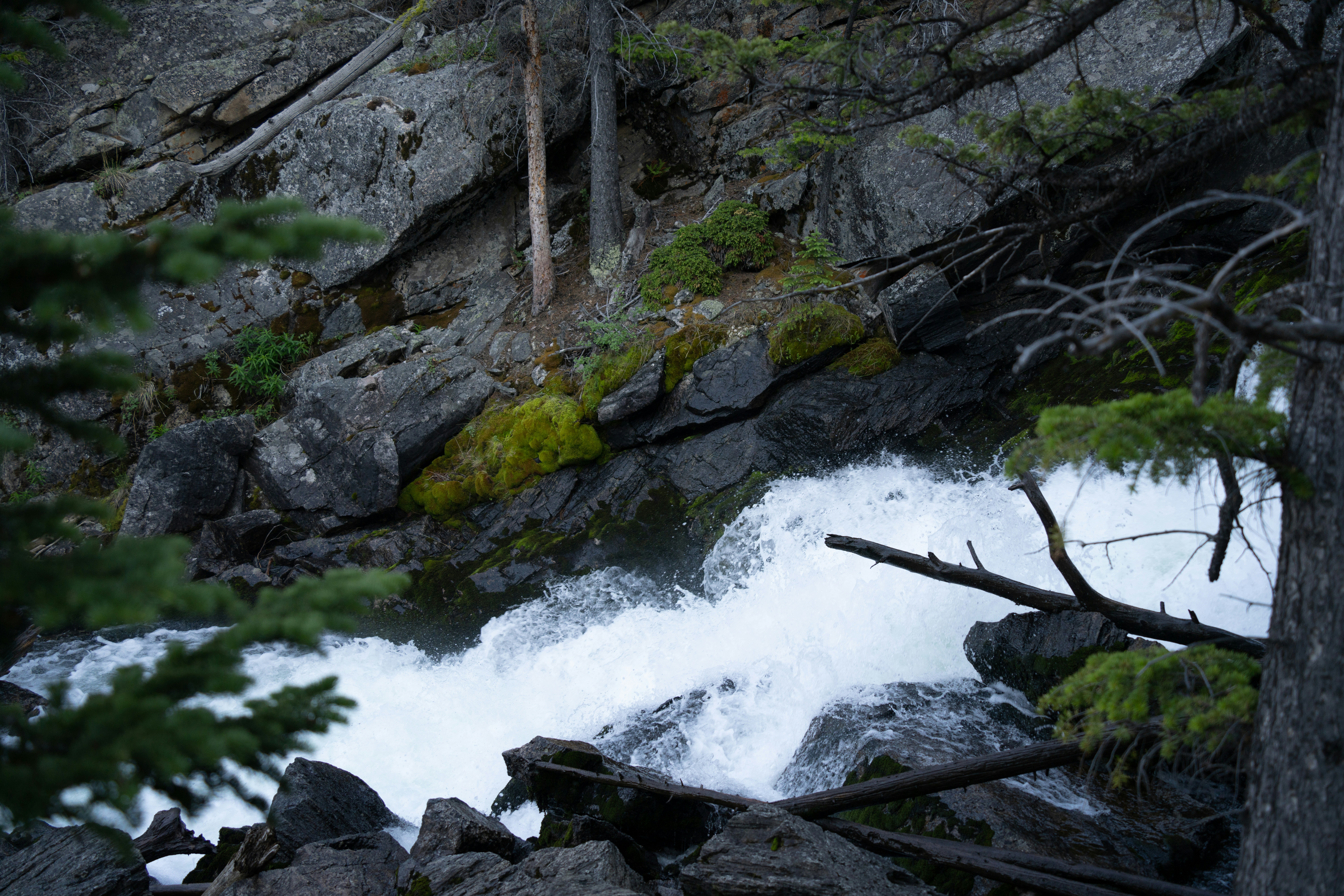 Runoff Pictures | Download Free Images on Unsplash