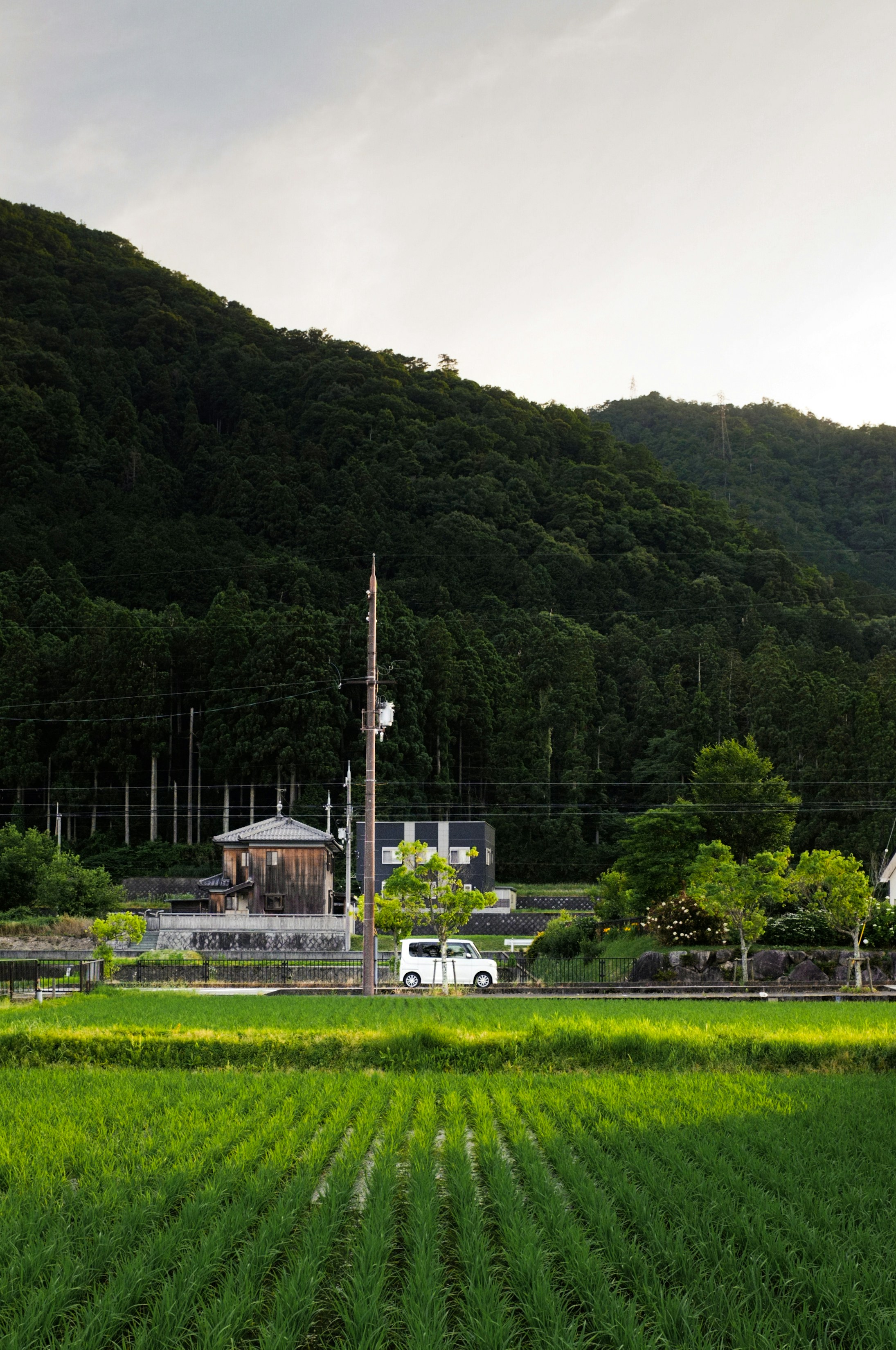 Photo by james chan with Fujifilm X100