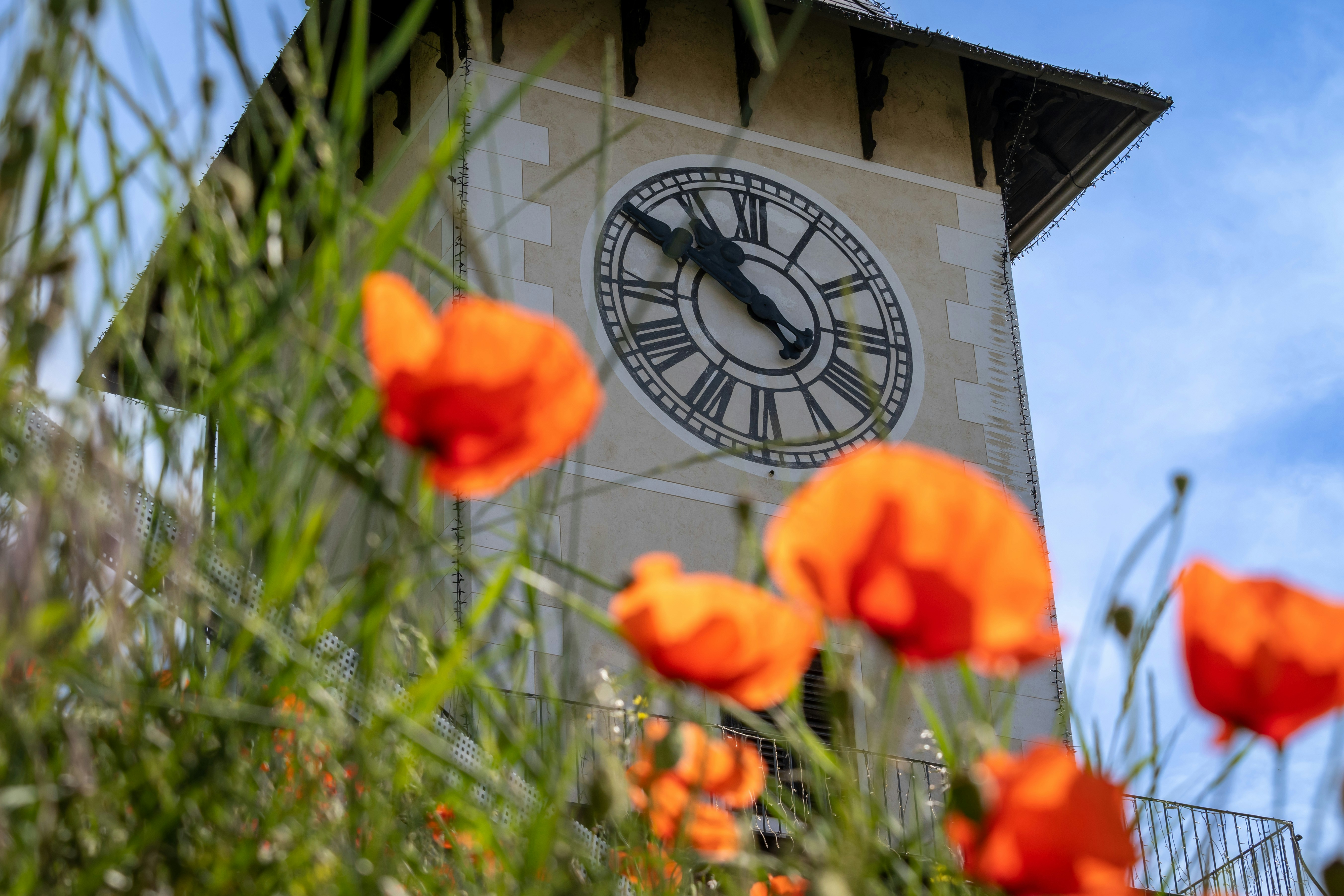 Laszlo Biro (@birophoto) | Communauté photos Unsplash