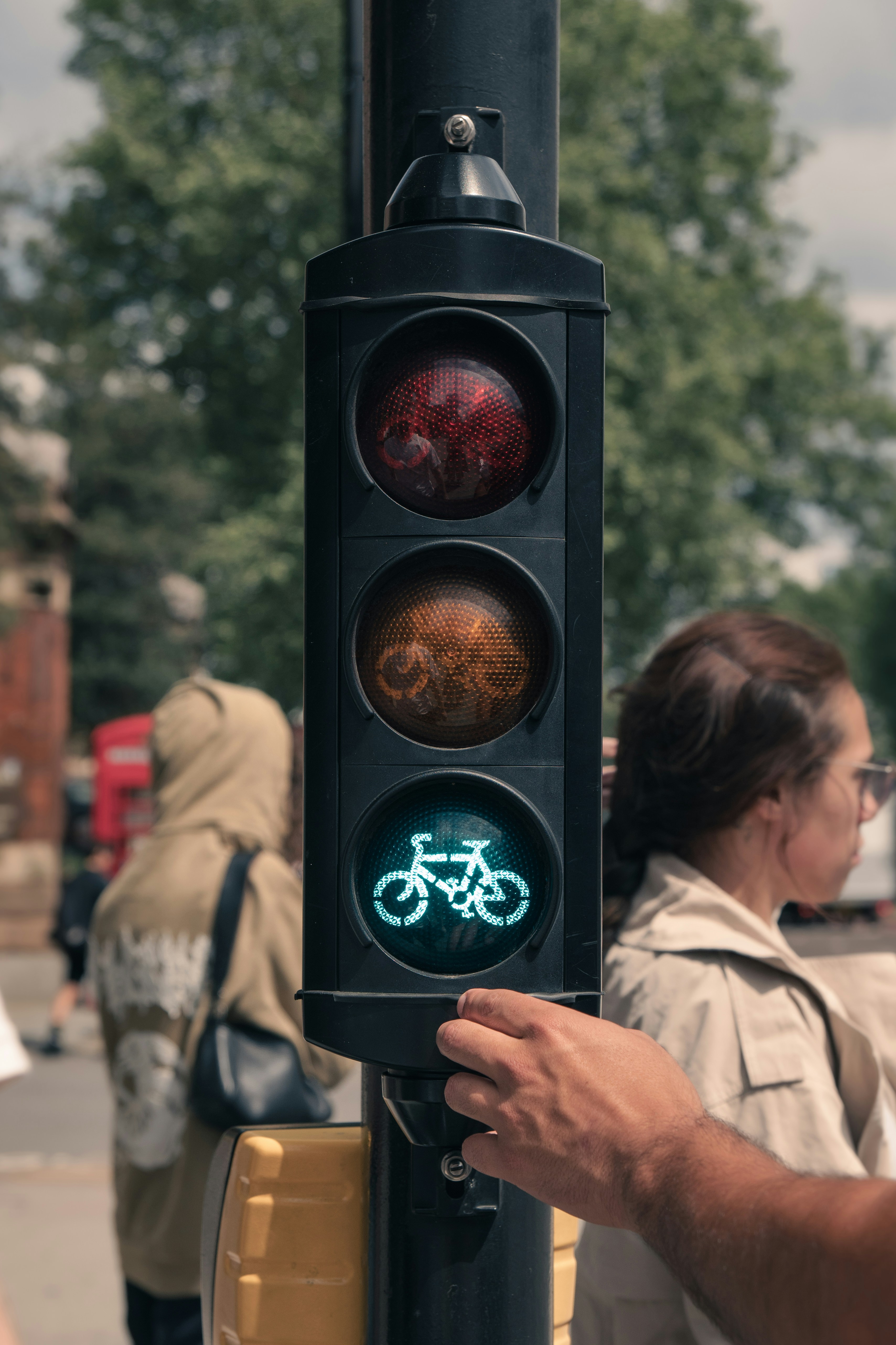 Urban Crossing Spotlight: The Green Bicycle Signal Gripped at Street Level